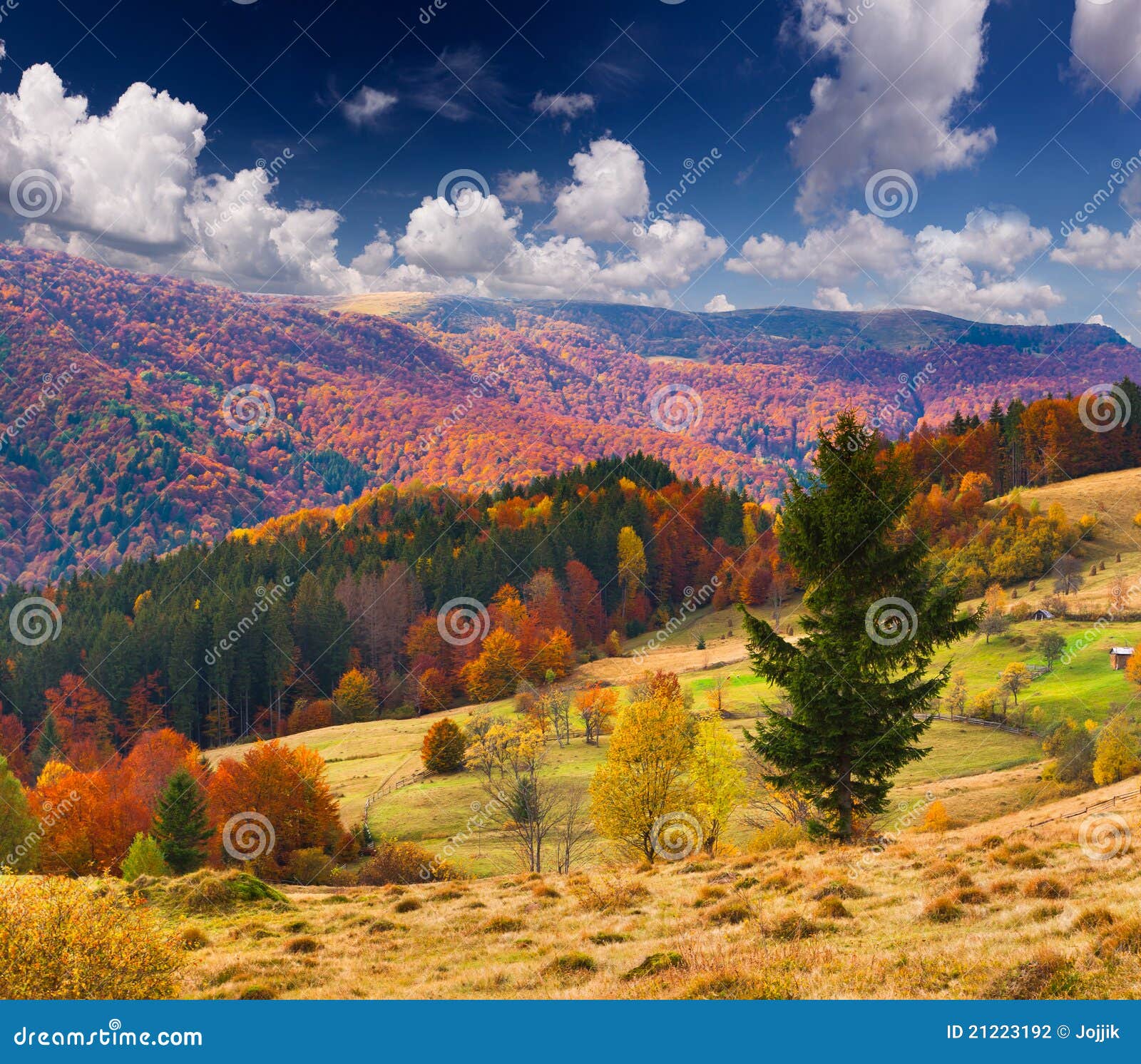 Colorful autumn landscape stock photo. Image of landscape - 21223192