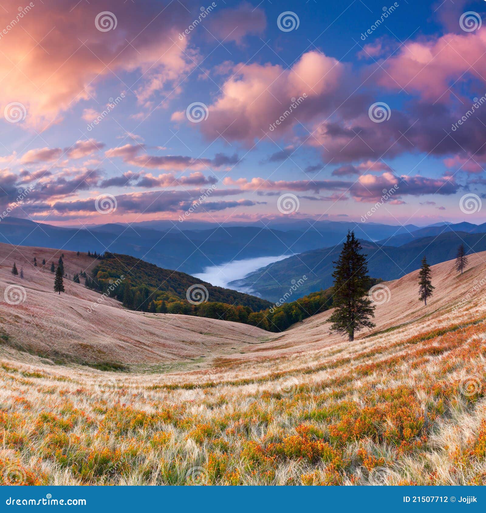 Colorful autumn landscape stock photo. Image of morning - 21507712