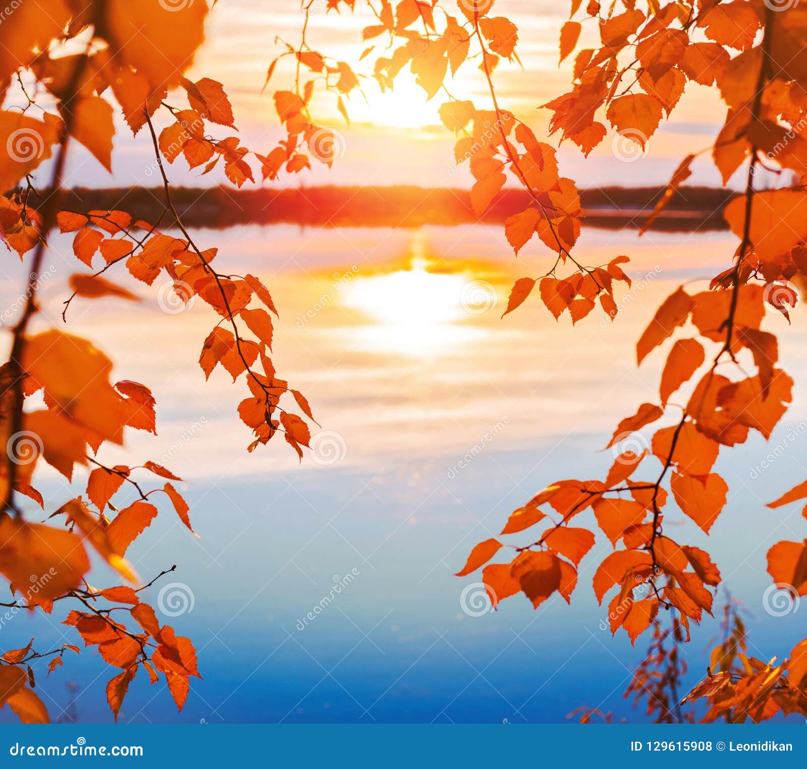 Colorful autumn landscape. stock photo. Image of beautiful - 129615908
