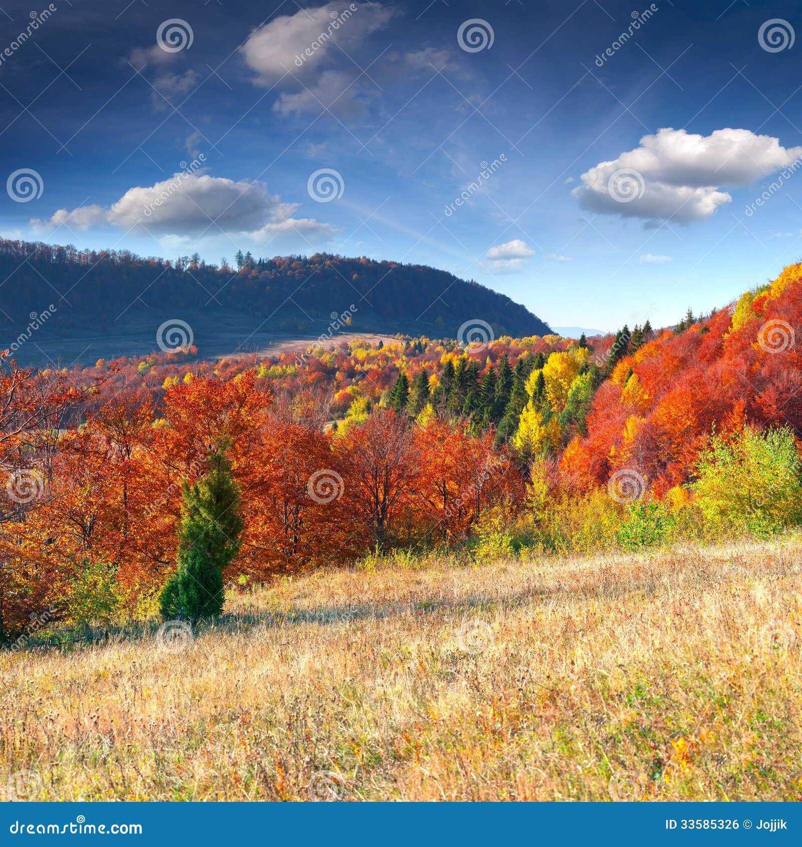 Colorful Autumn Landscape in Mountains Stock Photo - Image of ...