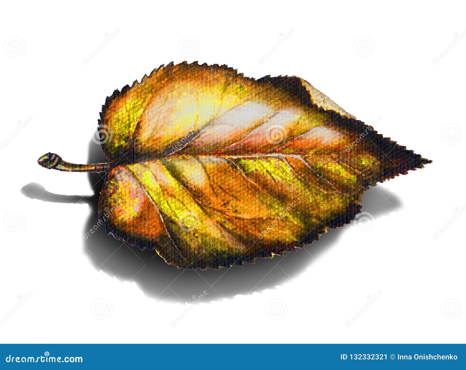 This is a Colorful Autumn Leaf with Shadow Stock Illustration ...
