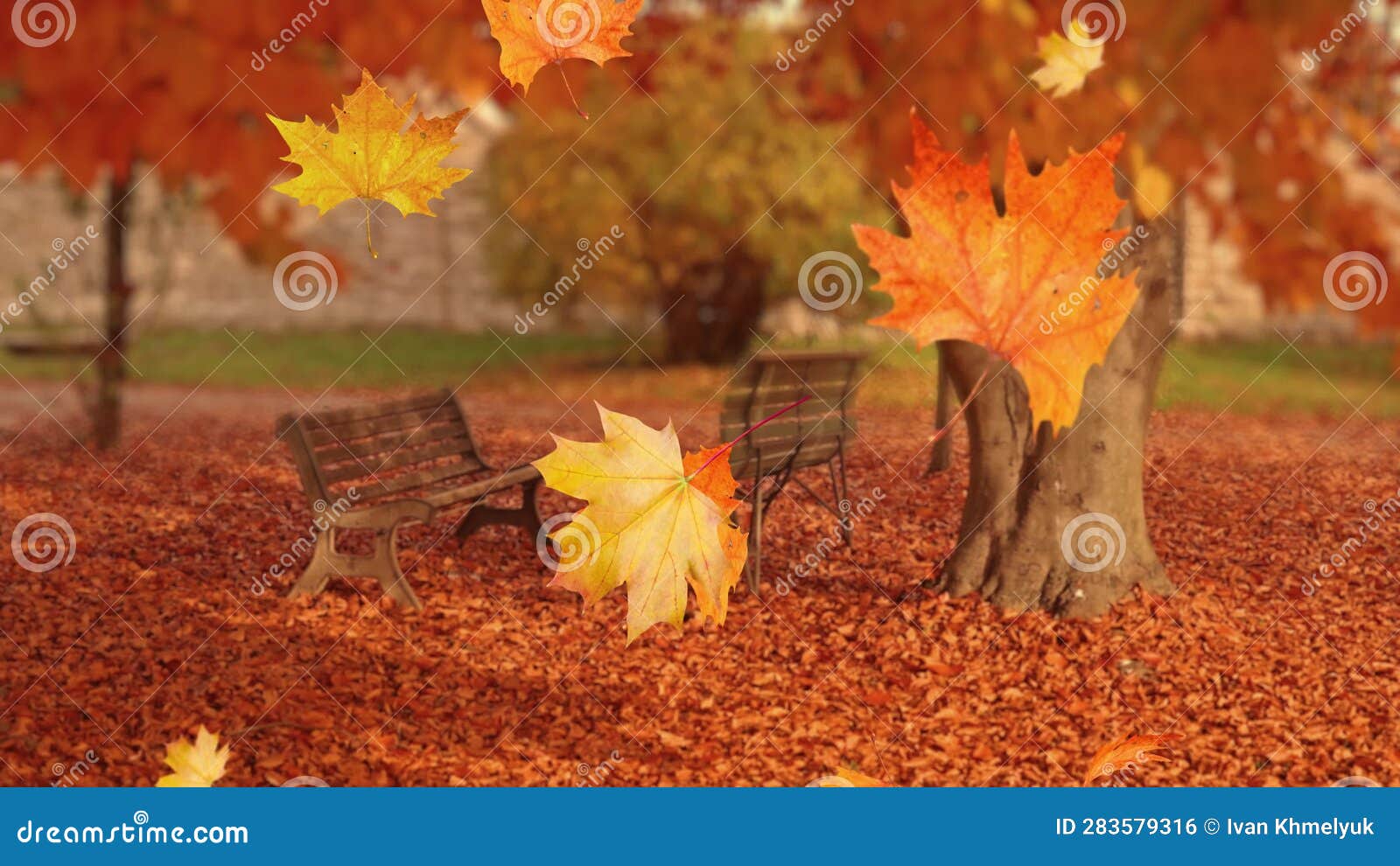 Autumn Leaves Fall in the Park with Benches Stock Footage - Video of ...