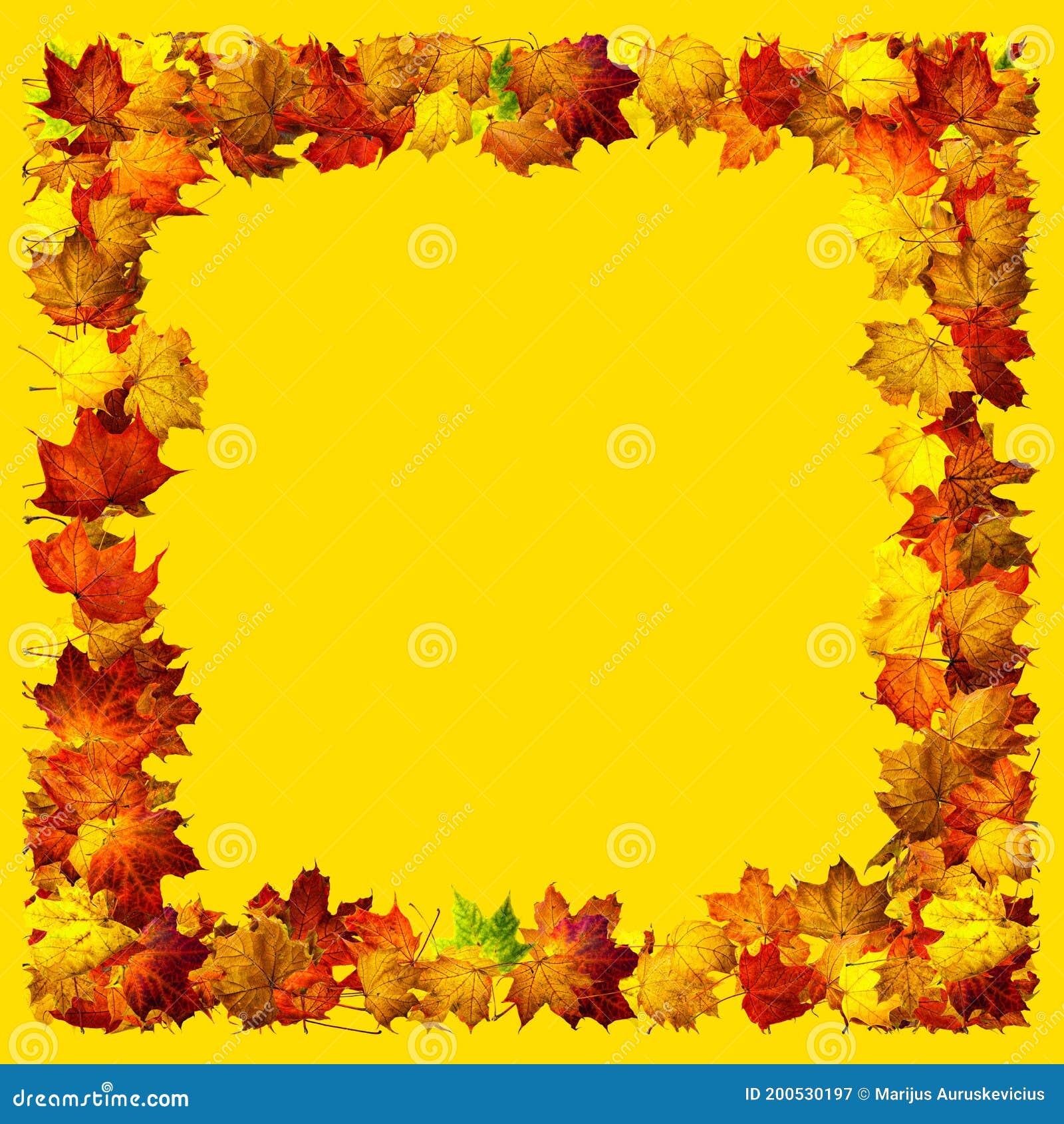 Colorful Autumn Leaves Isolated on Yellow Background. Border Frame of ...