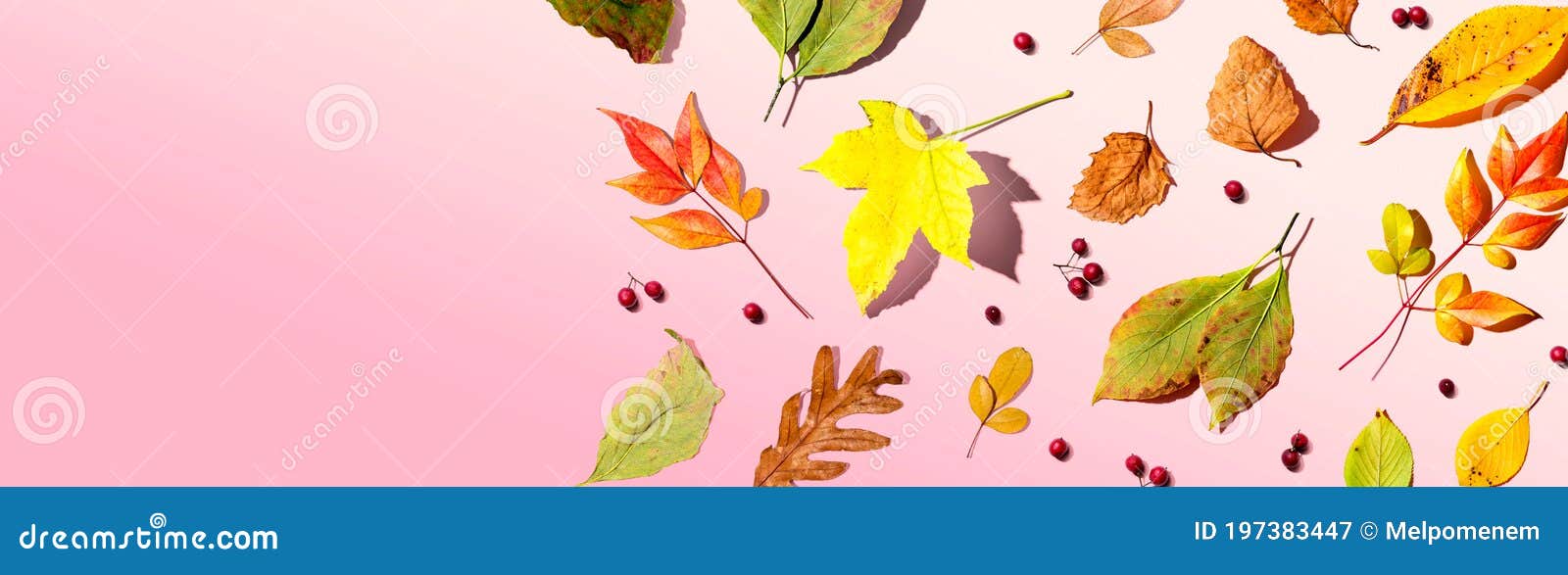 Colorful Autumn Leaves Overhead View Stock Image - Image of decoration ...