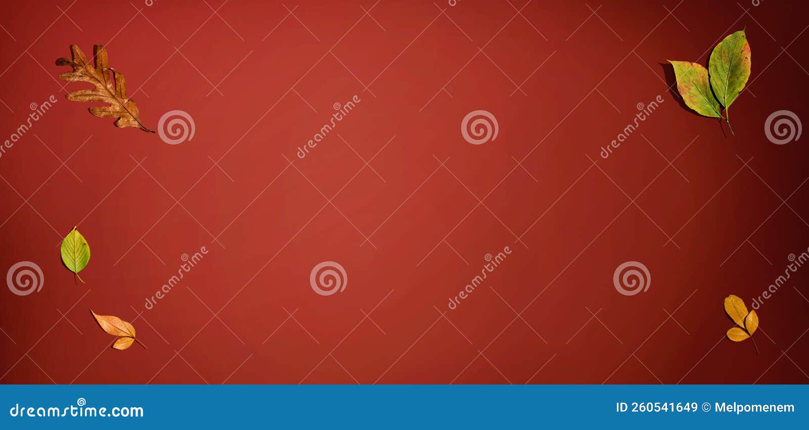 Colorful Autumn Leaves Overhead View Stock Image - Image of hello ...