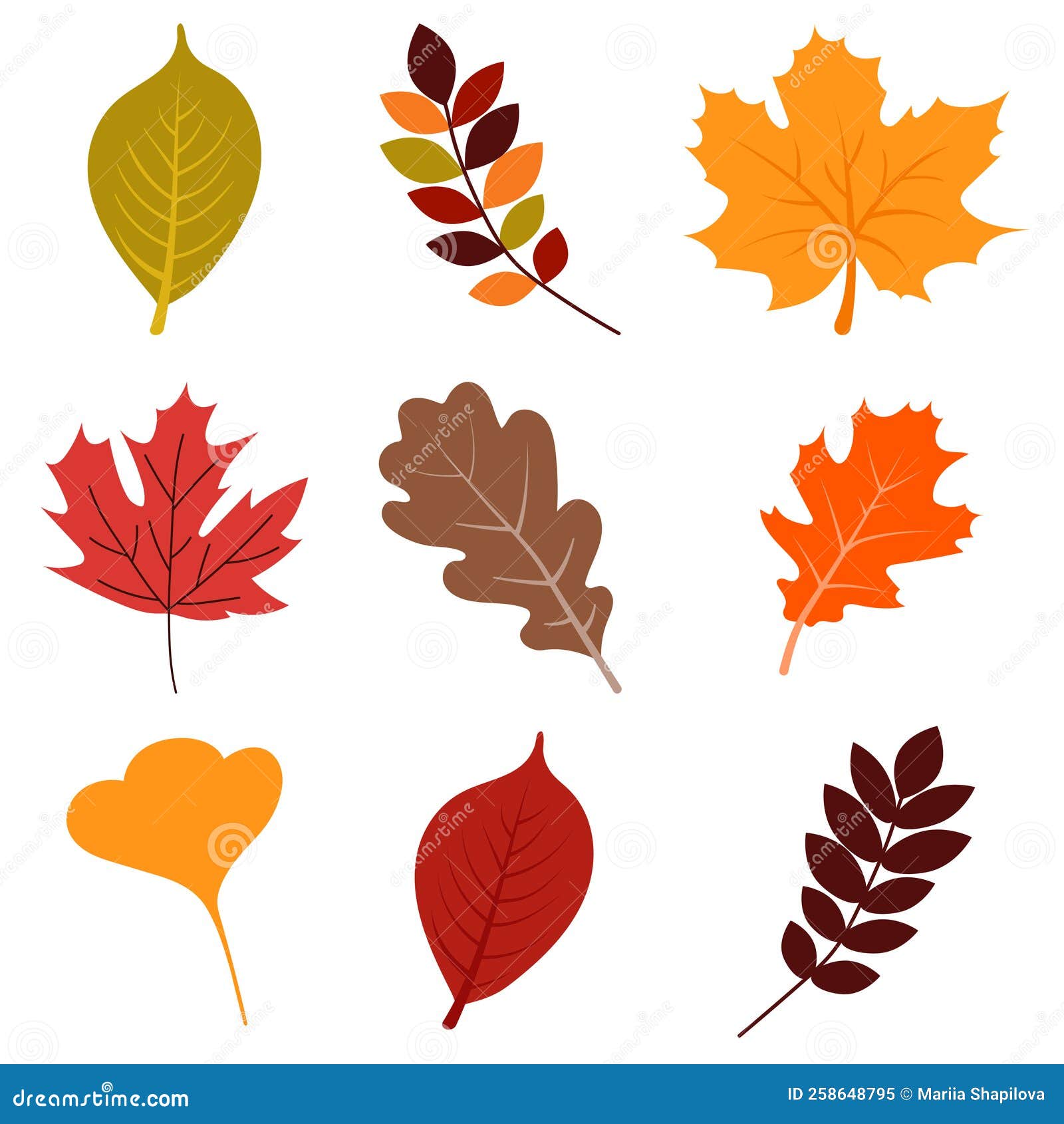 Colorful Autumn Leaves Set. Autumn Design Element Stock Vector ...