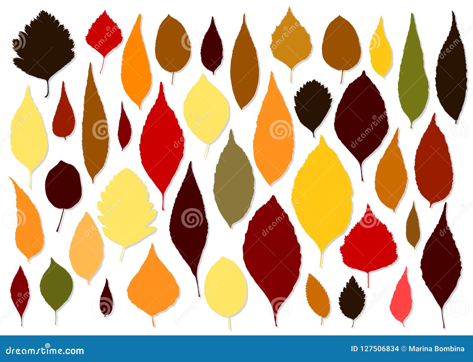 Colorful Autumn Leaves Set on White Background Vector Stock Vector ...