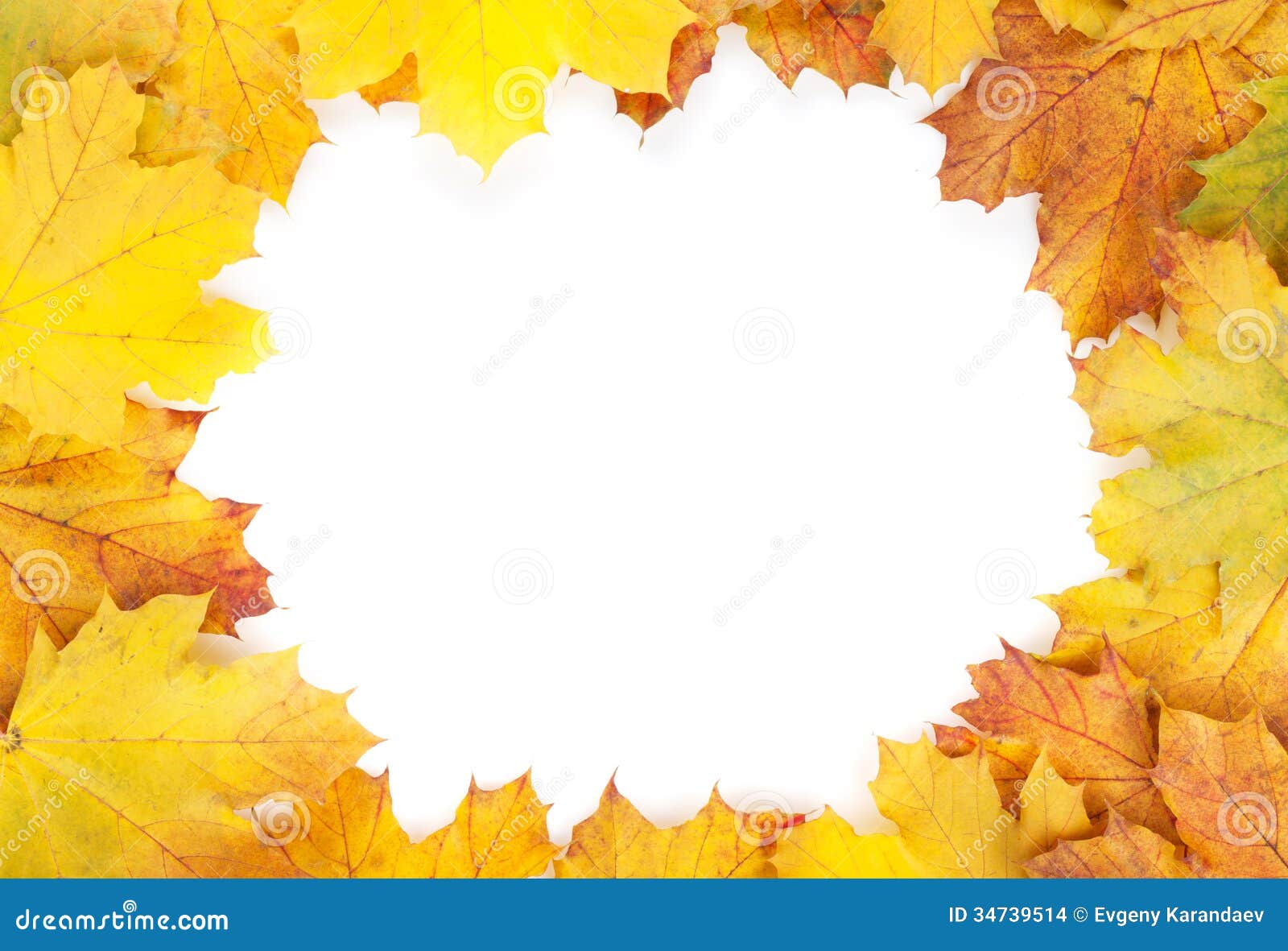 Colorful Autumn Maple Leaves Frame Stock Photo - Image of natural ...