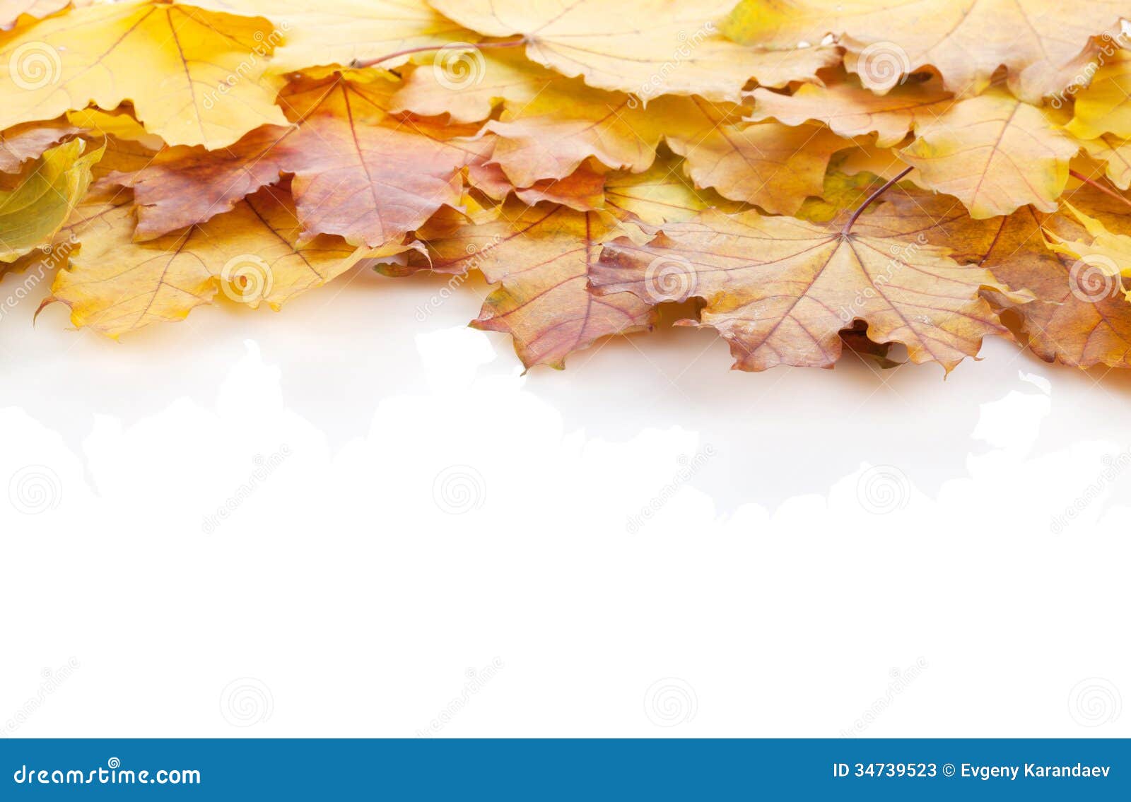 Colorful Autumn Maple Leaves Frame Stock Image - Image of composition ...