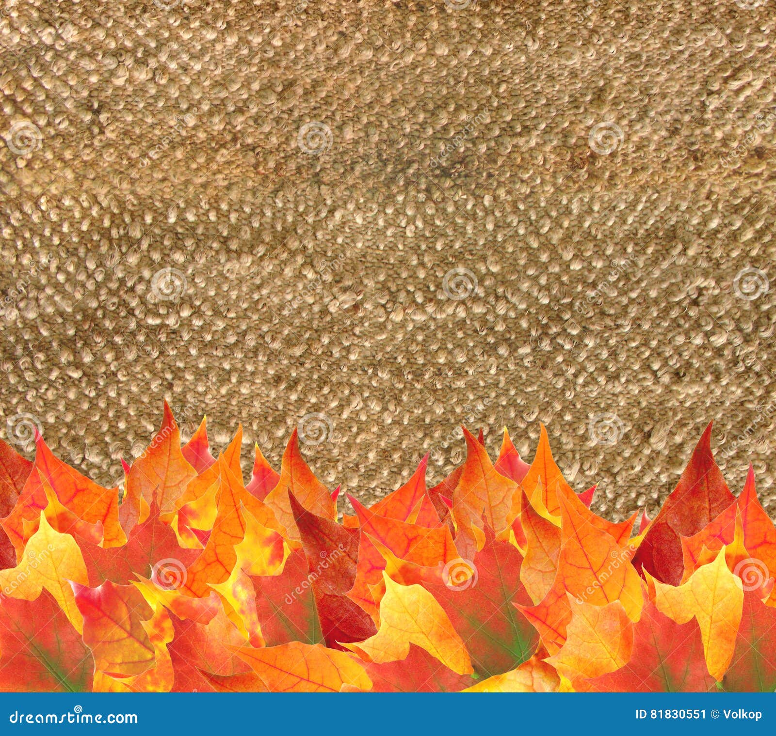 Colorful Autumn Maple Leaves on Wool Cloth Stock Image - Image of ...