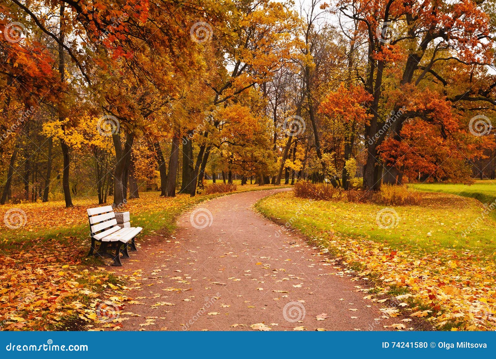Colorful Autumn Maple Trees Fallen Leaves Path Bench in Park Stock ...