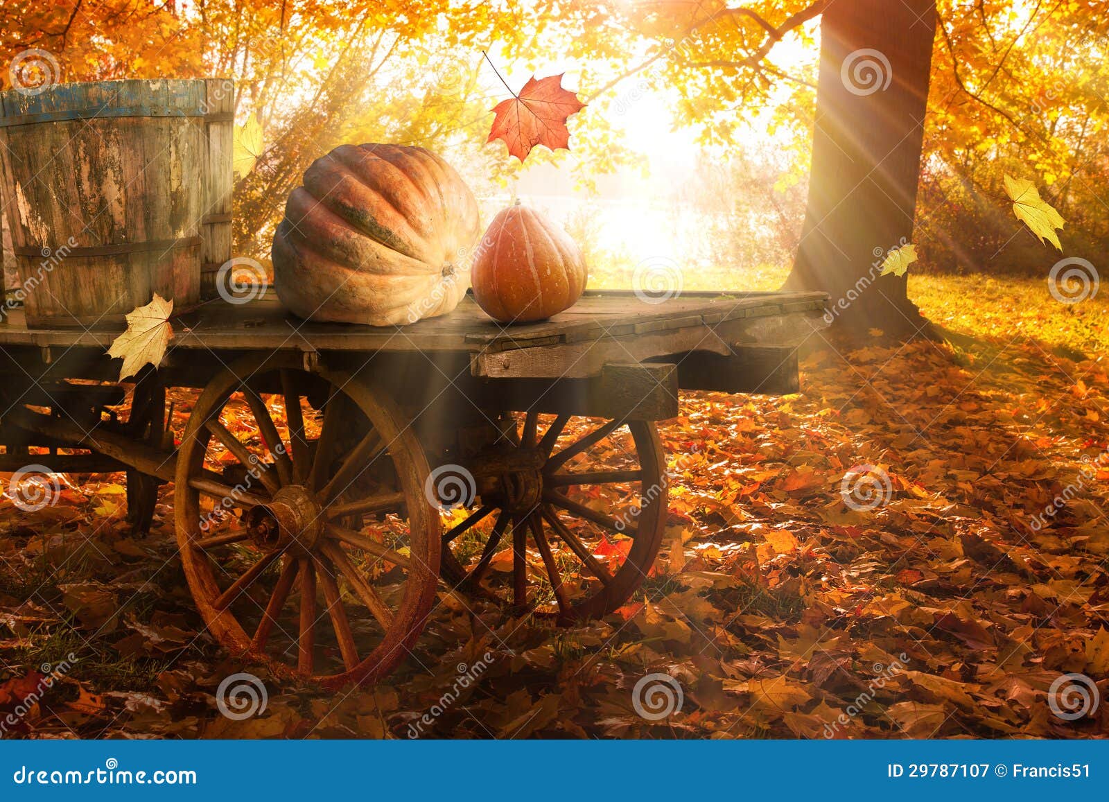 Autumn stock image. Image of autumnal, ancient, leaves - 29787107