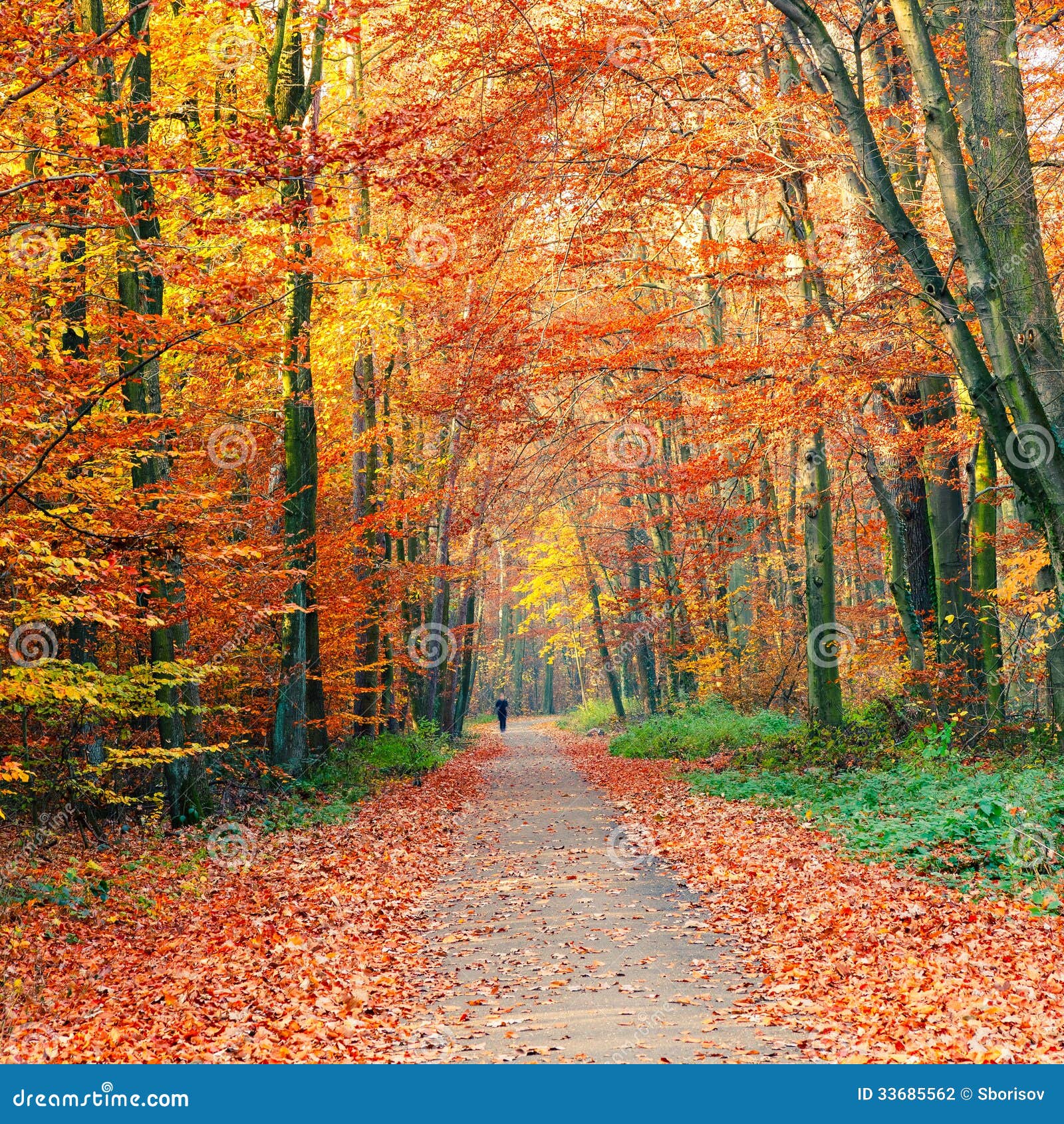 Colorful autumn park stock photo. Image of natural, europe - 33685562