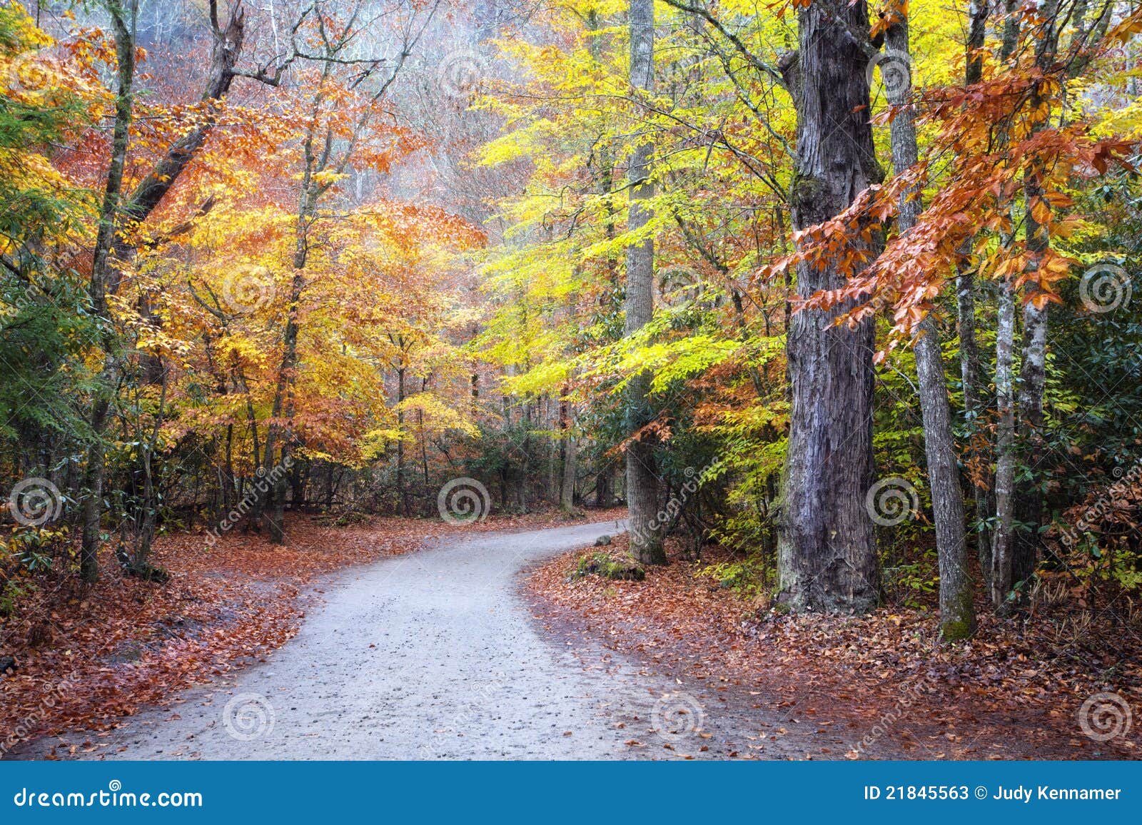 Colorful Autumn Road stock image. Image of country, journey - 21845563