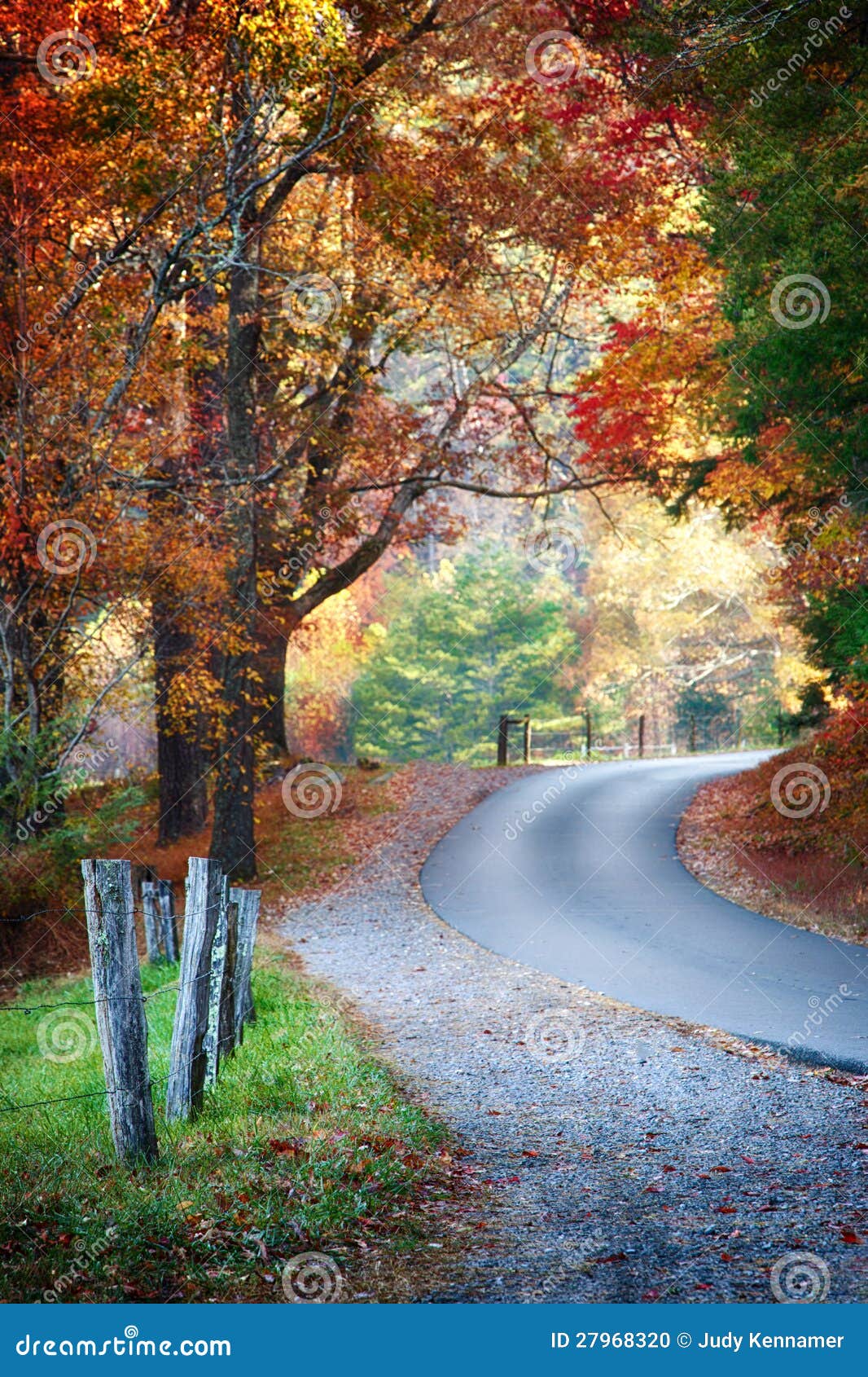 Colorful Autumn road stock photo. Image of park, outdoors - 27968320
