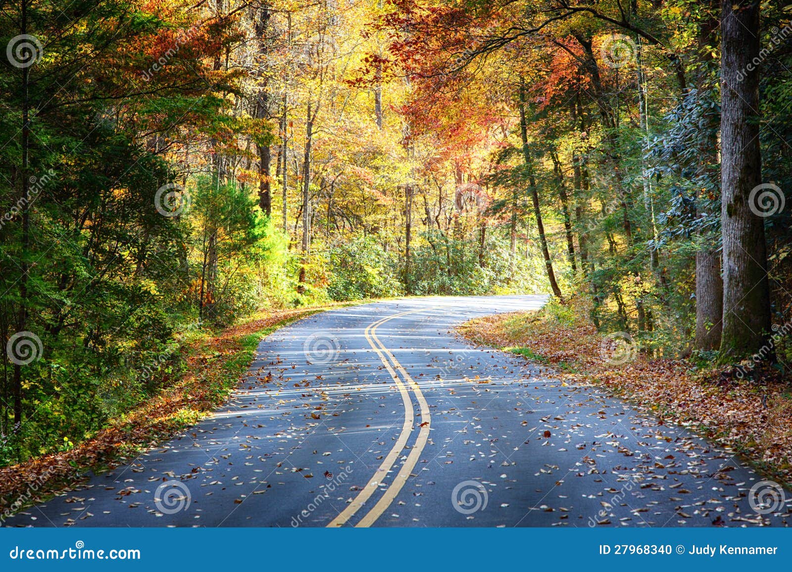 Colorful Autumn road stock photo. Image of forest, colors - 27968340