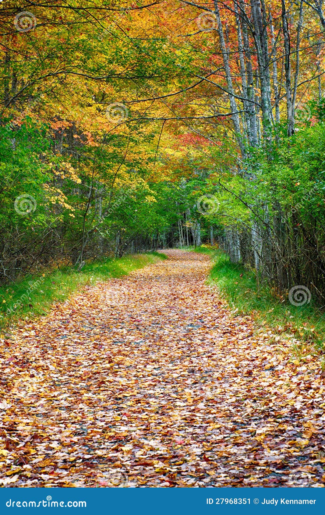 Colorful Autumn road stock image. Image of colorful, beauty - 27968351