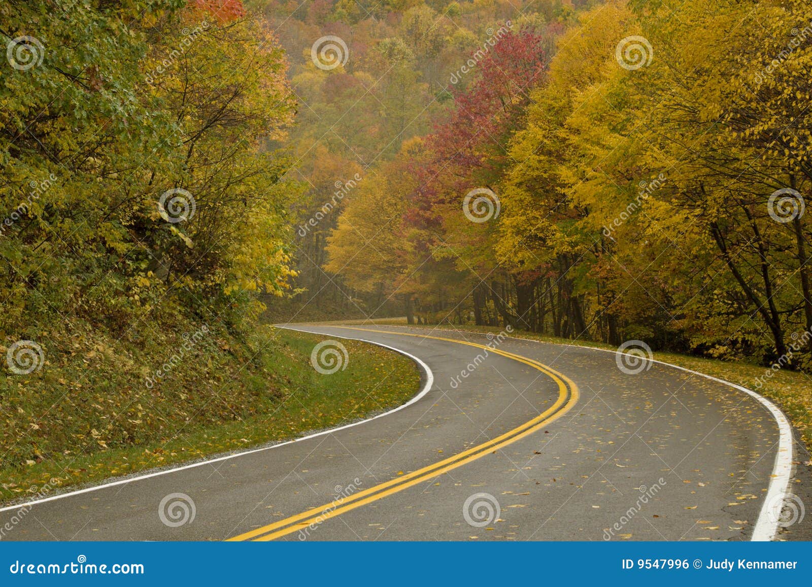 Colorful Autumn Road stock photo. Image of blue, autumn - 9547996