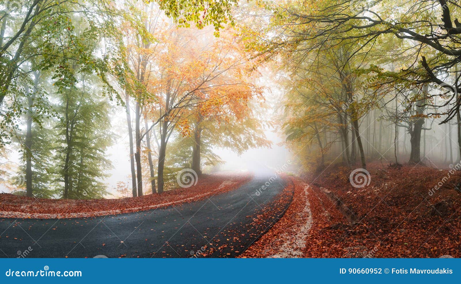 Colorful autumn road stock photo. Image of destination - 90660952