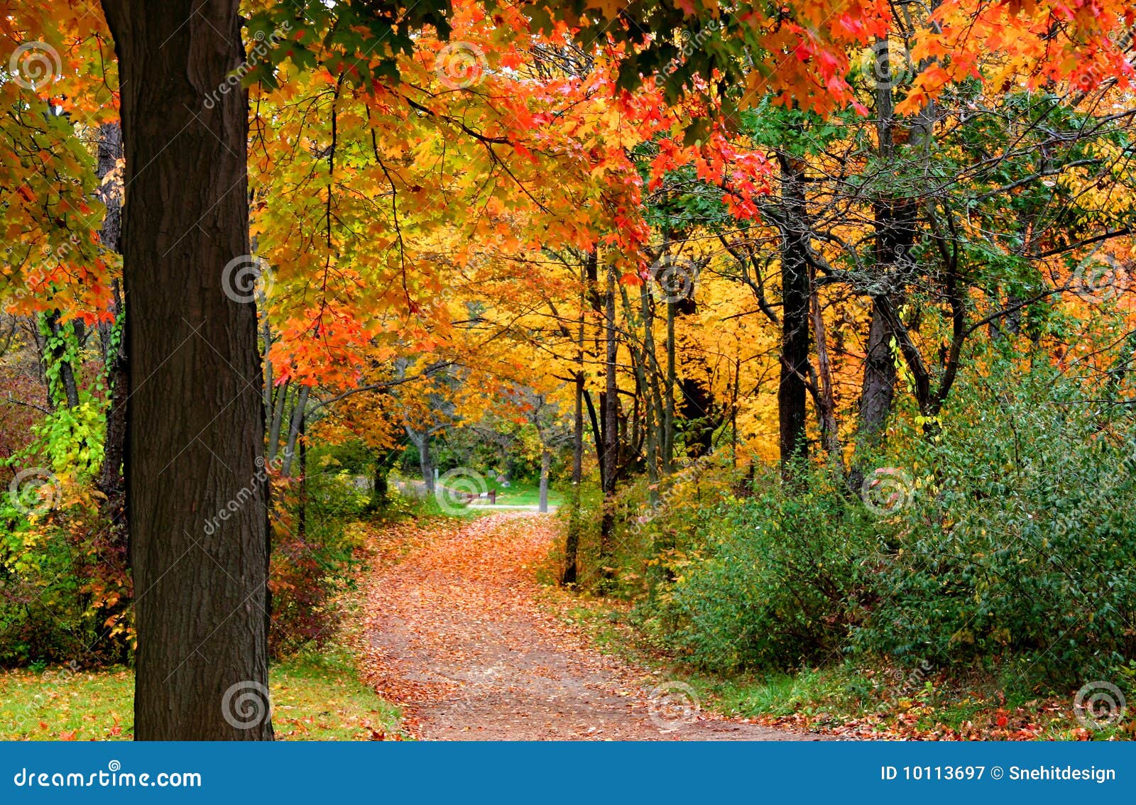 Colorful Autumn Scene stock image. Image of yellow, seasonal - 10113697