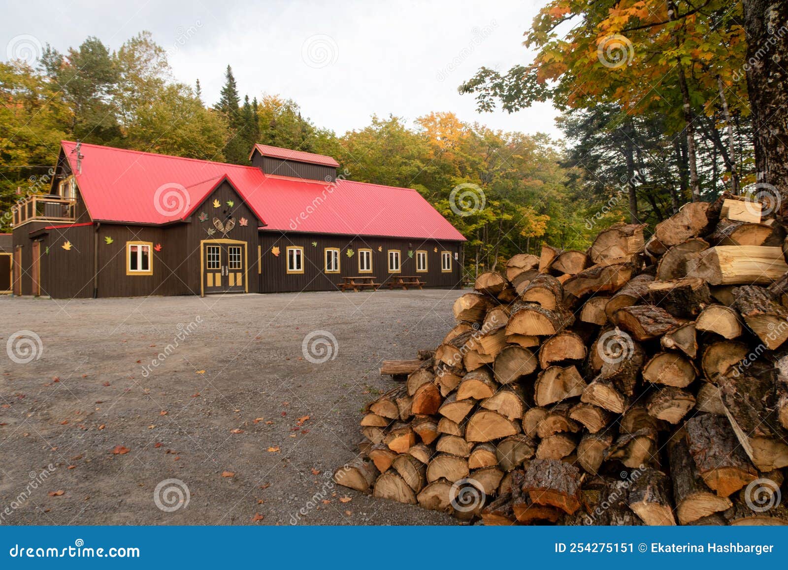 Colorful Autumn Scenic View of a Stack of Wood and a Barn. Stock Image ...