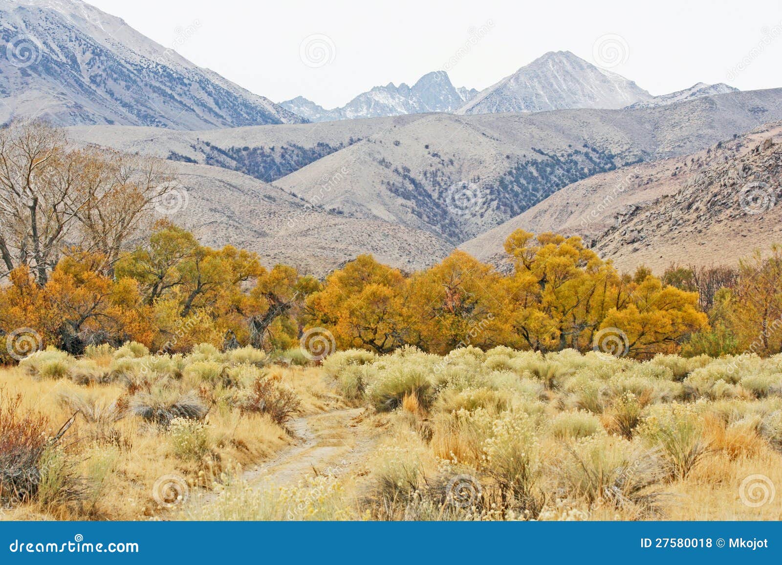 Colorful Autumn in Sierra Nevada Stock Photo - Image of landscape ...