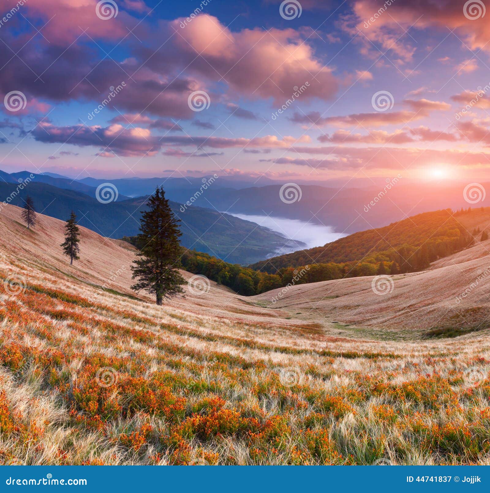 Colorful Autumn Sunrise in Mountains. Stock Image - Image of scenery ...