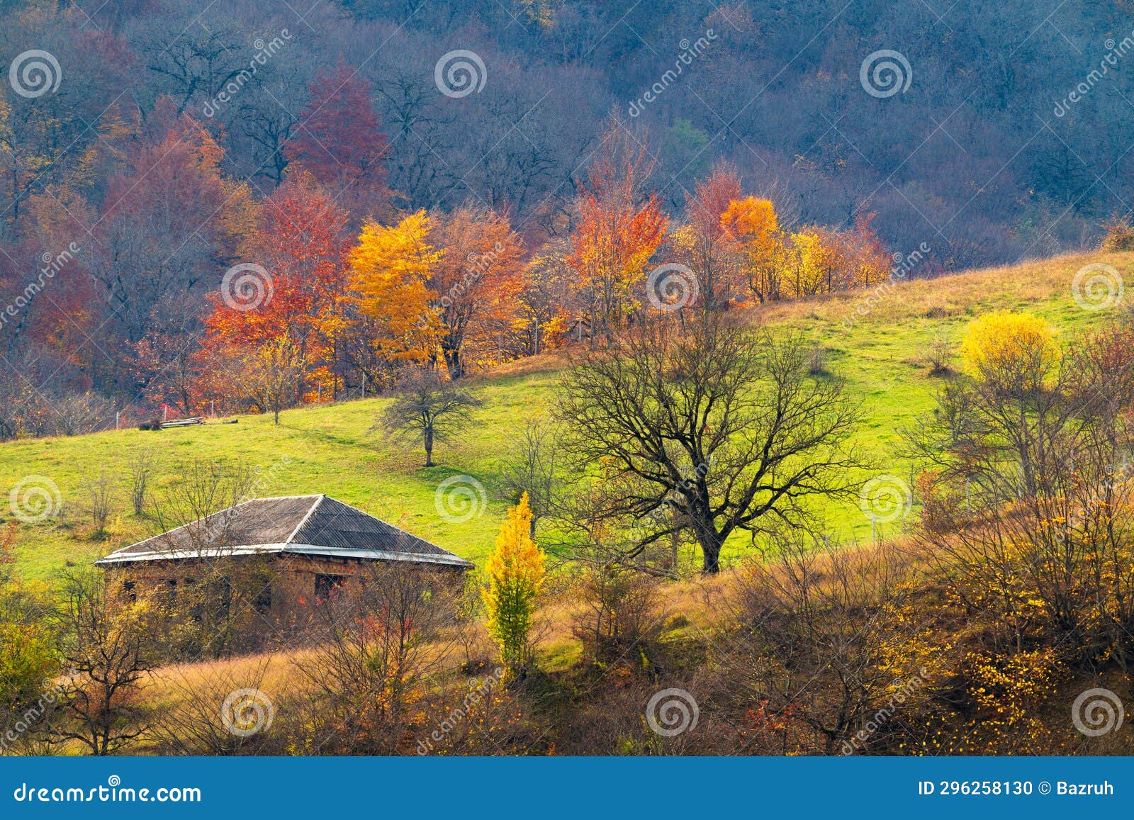 Colorful Autumn Trees on a Mountainside. Fall Wallpaper Stock Photo ...