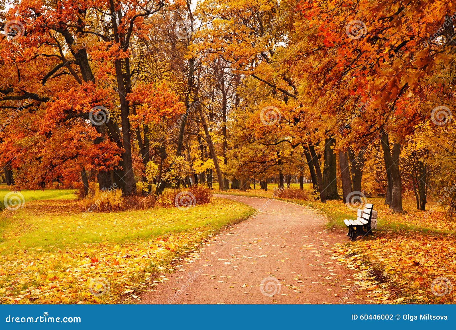 Colorful Autumn Trees in Park Stock Photo - Image of outdoor, colorful ...