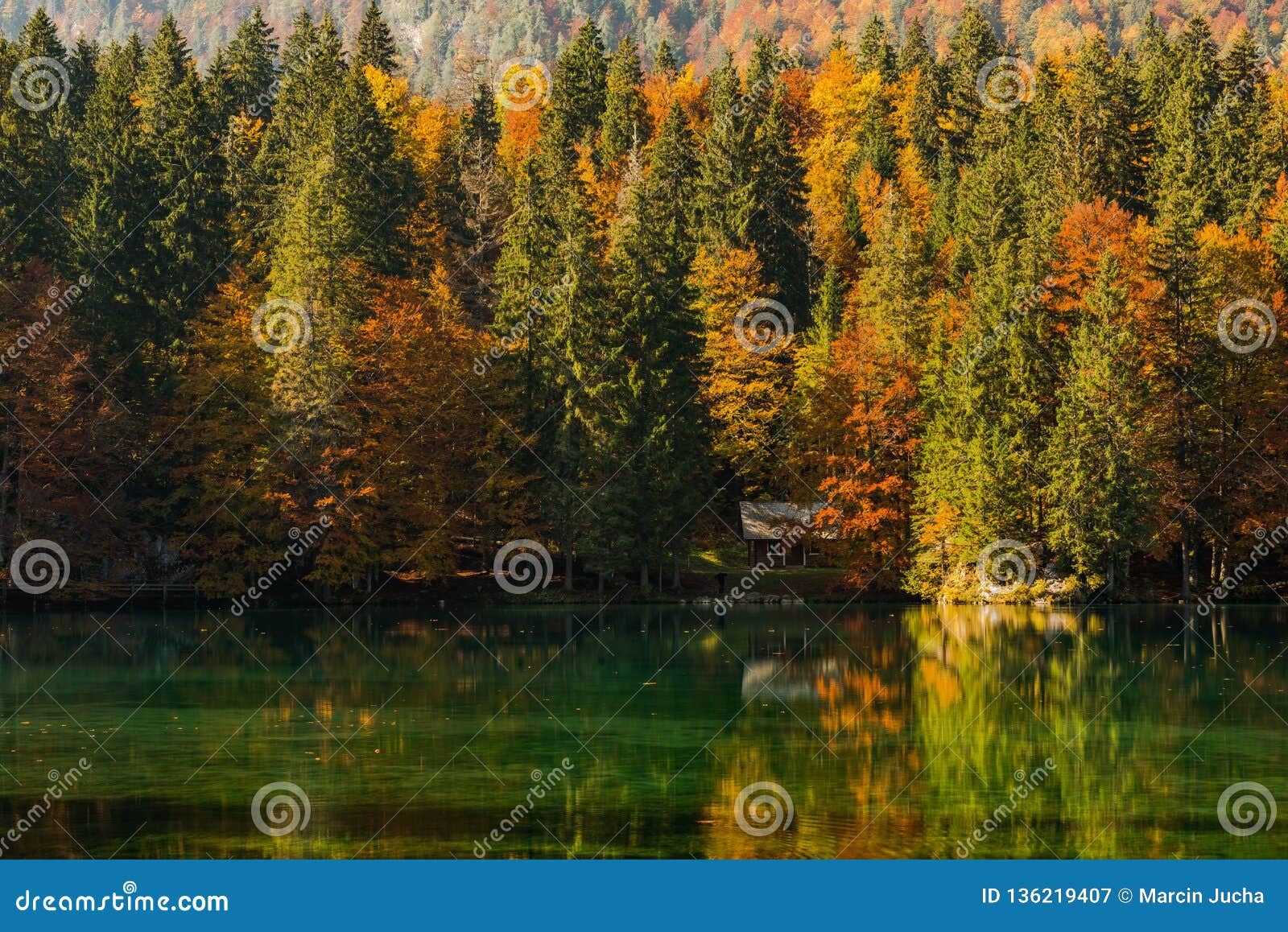 Colorful Autumn Trees Reflection in Lake Water Stock Image - Image of ...