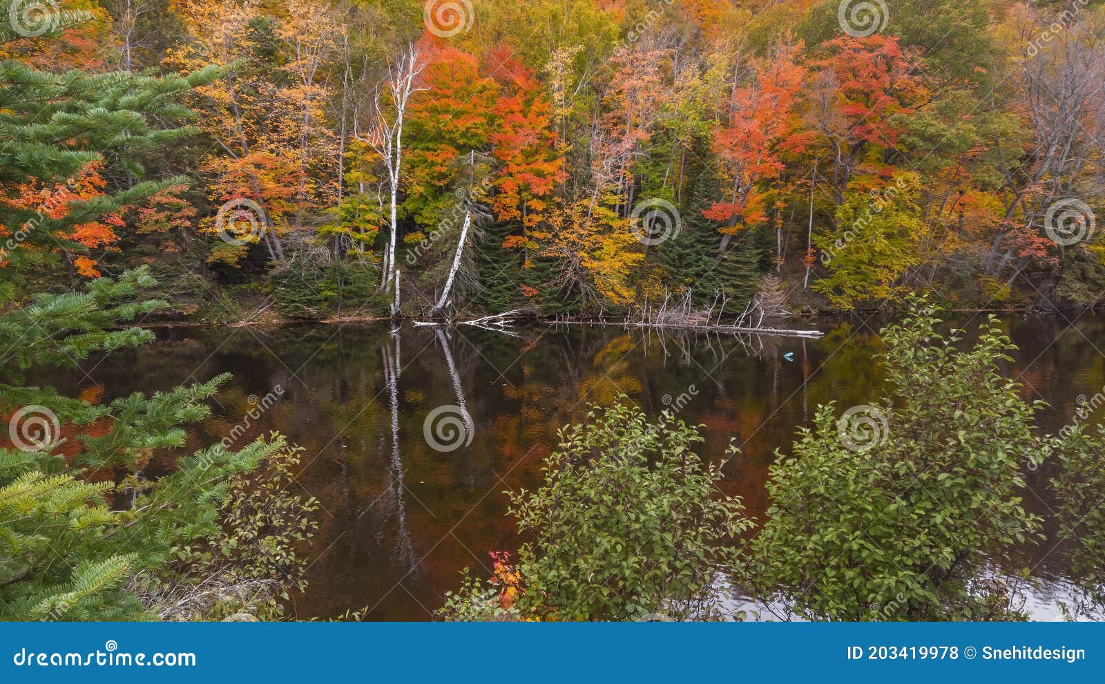 Colorful Autumn Trees by the River with Reflection in Water Stock Photo ...