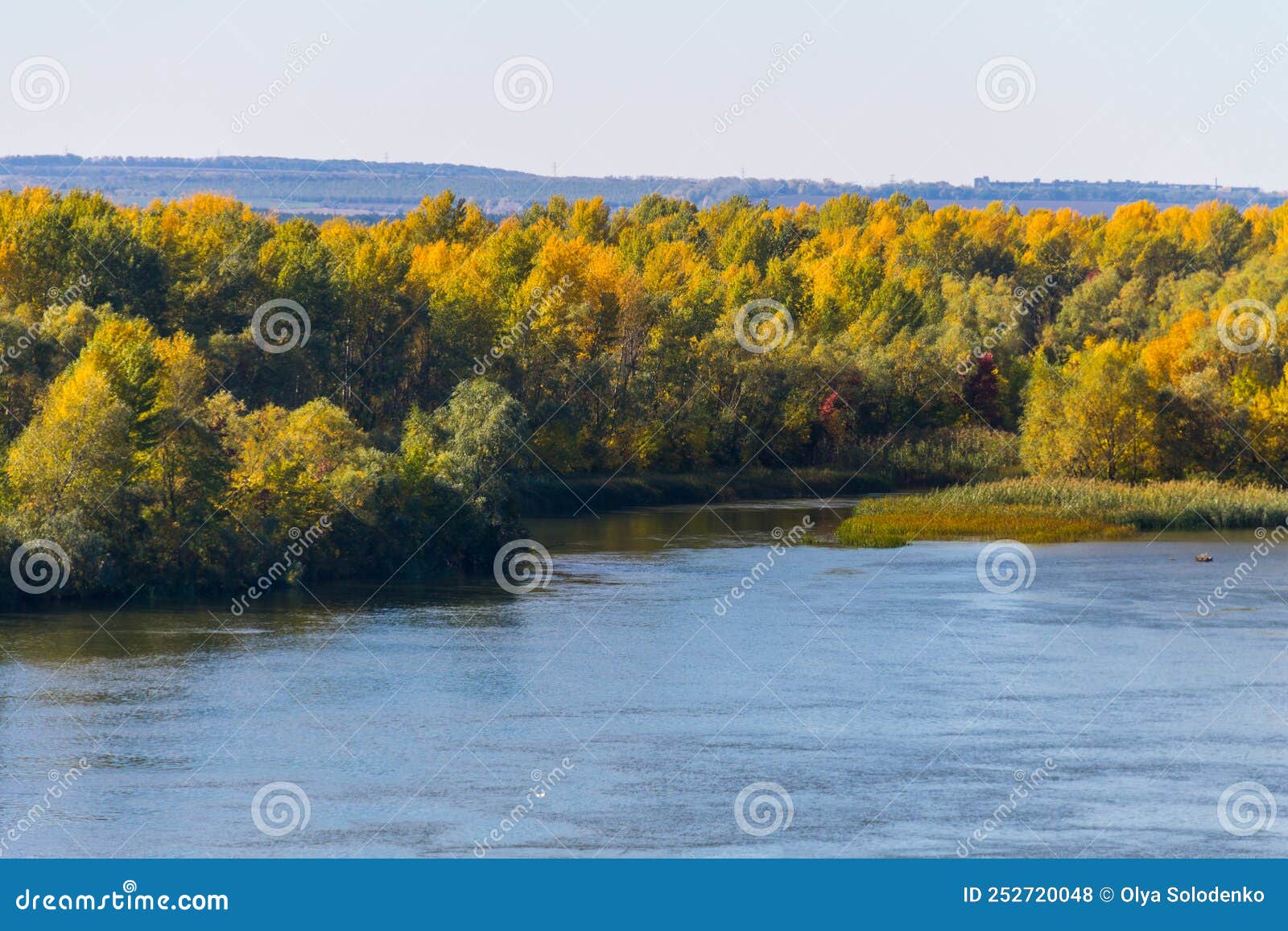 Colorful Autumn Trees on the Riverfront Stock Photo - Image of forest ...
