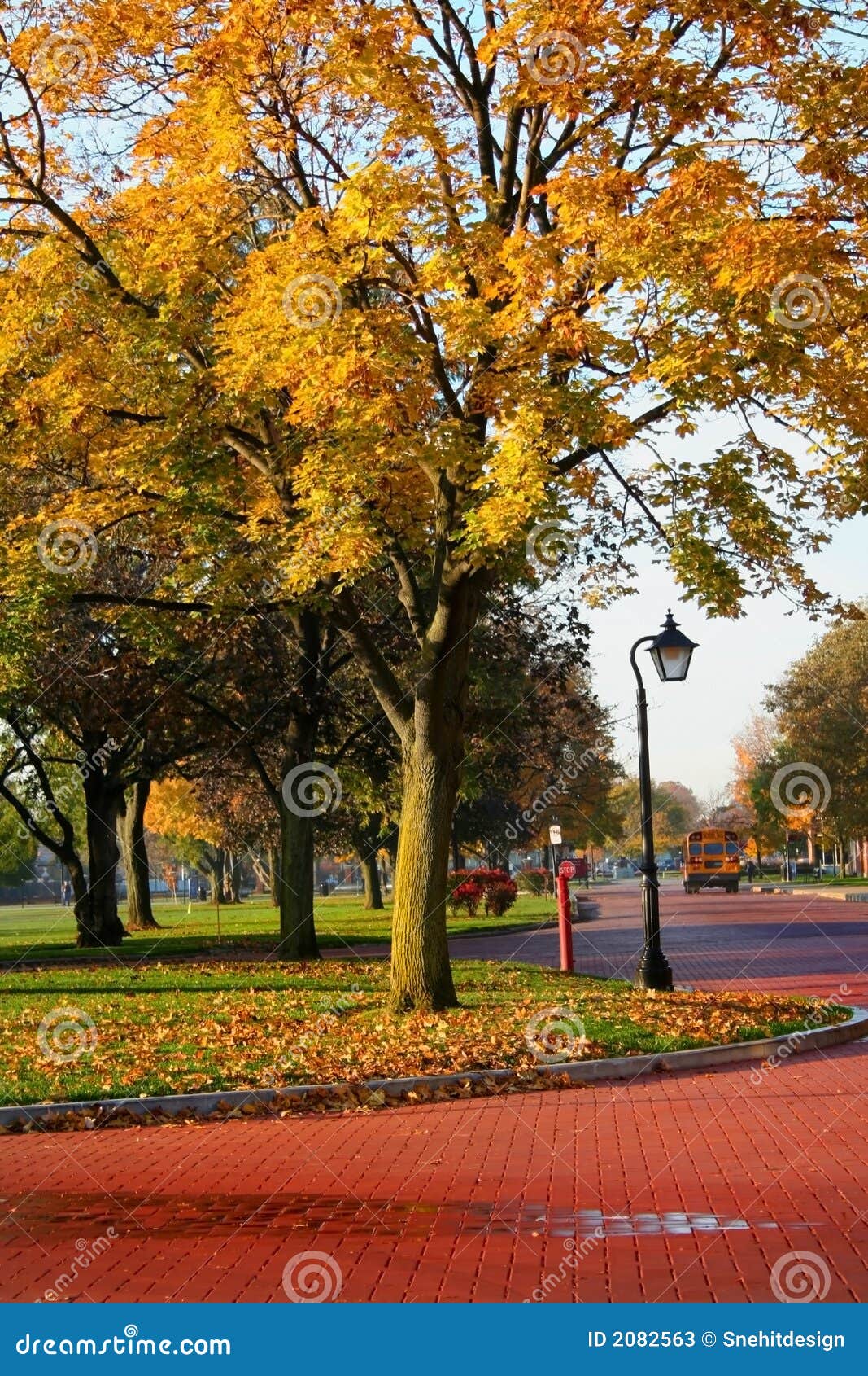 Colorful Autumn Trees by Road Stock Image - Image of blooming, time ...