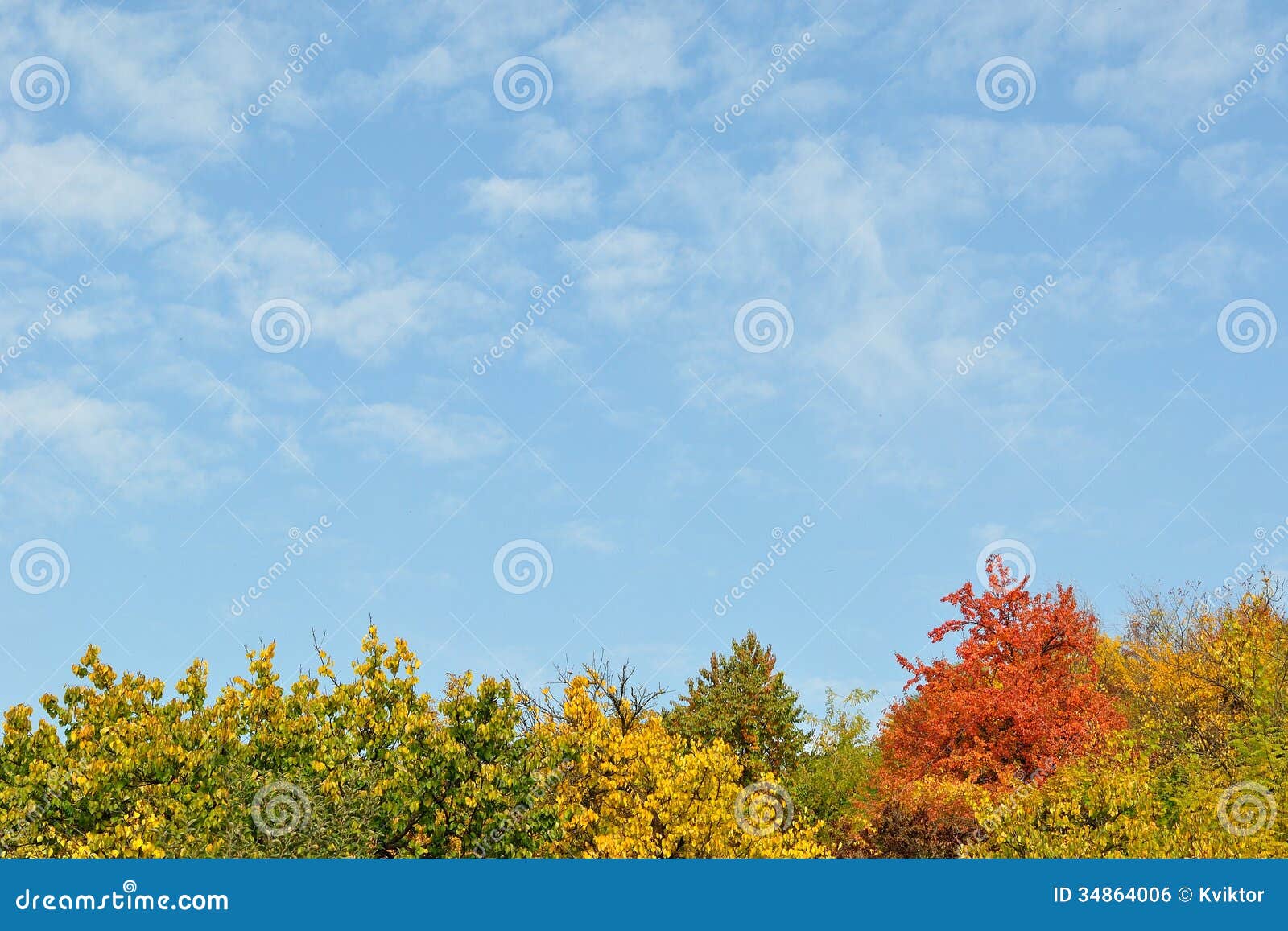 Colorful Autumn Trees and Sky Stock Photo - Image of color, fresh: 34864006