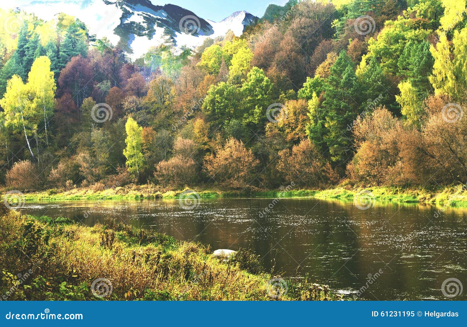 Colorful Autumn Trees with a View of River and Mountains in the ...