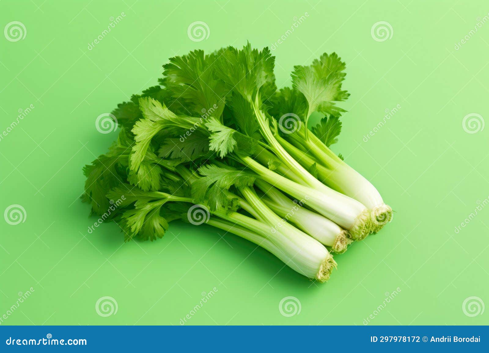 Colorful Backdrop with a Bundle of Celery. Stock Illustration ...