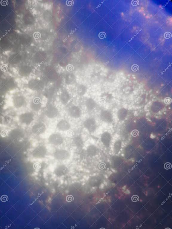 Colorful Backgrounds and Textures, Micro Patterns Stock Illustration ...