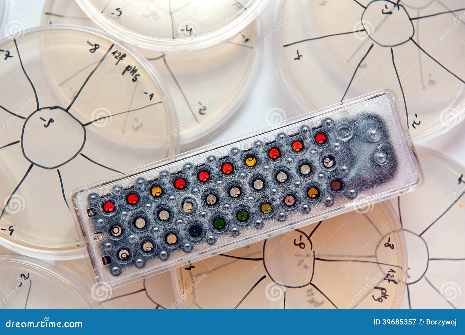 Colorful Bacterial Identification Panel on a Plates Stock Image - Image ...