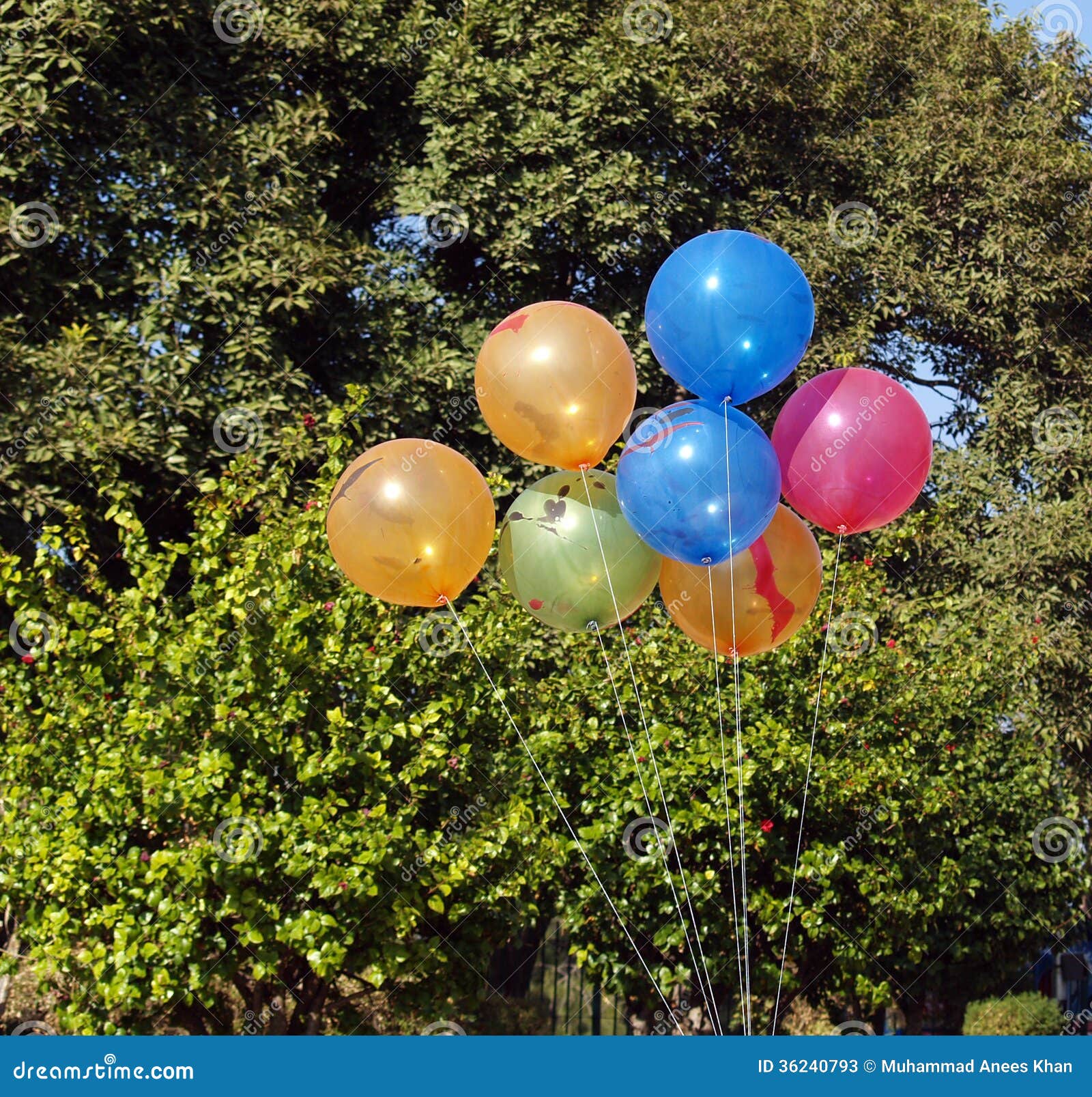 Air Balloon And Tree Royalty-Free Stock Photography | CartoonDealer.com ...