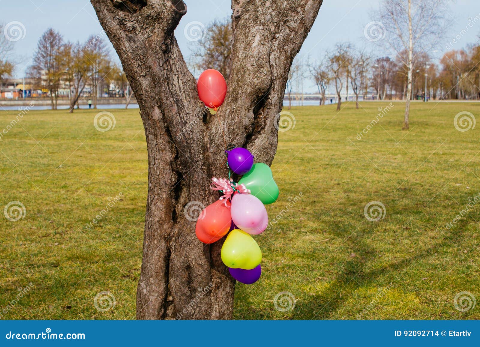 Colorful balloons stock photo. Image of celebration, helium - 92092714