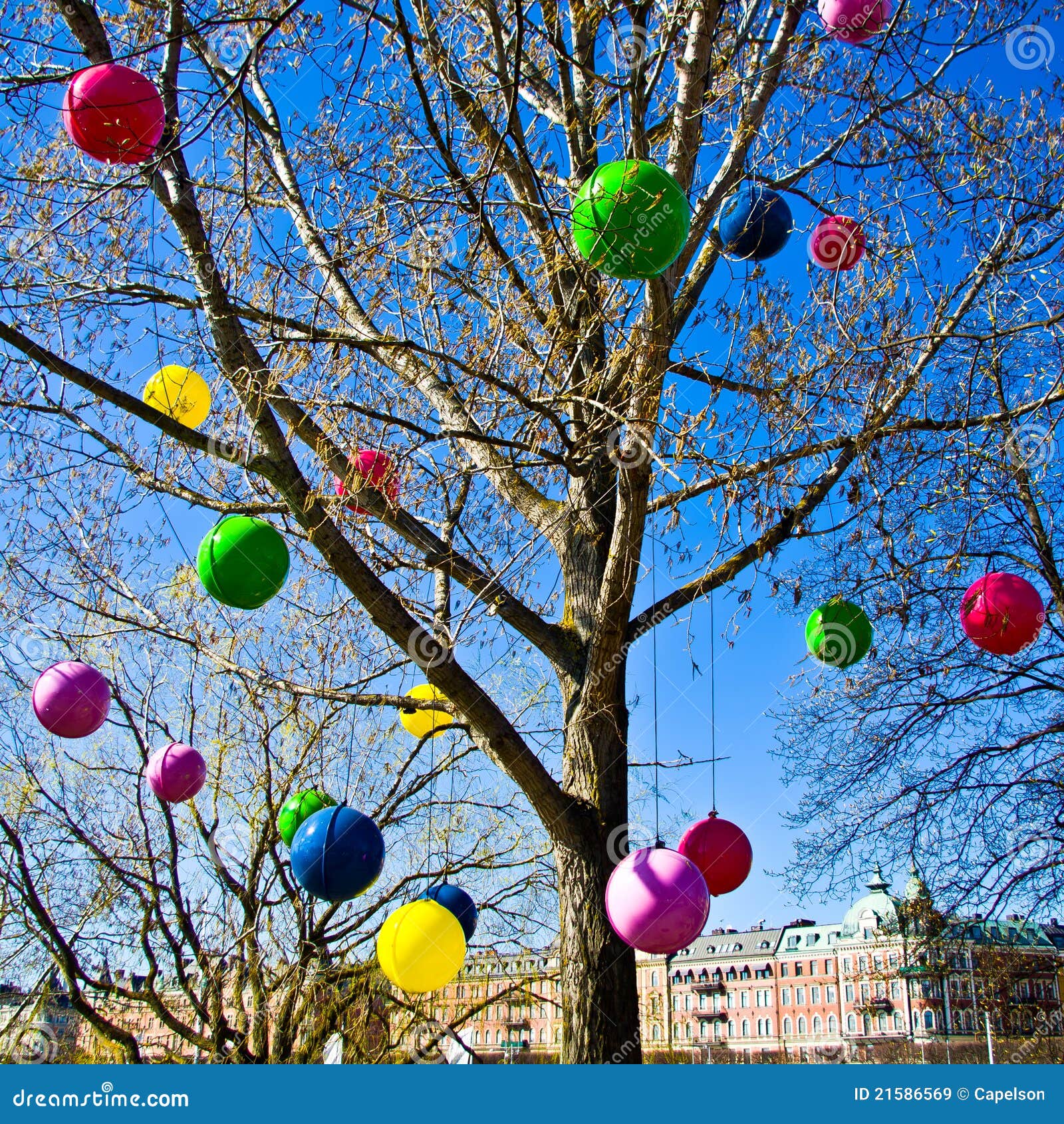 Colorful Balloons in a Tree Stock Image - Image of celebration ...