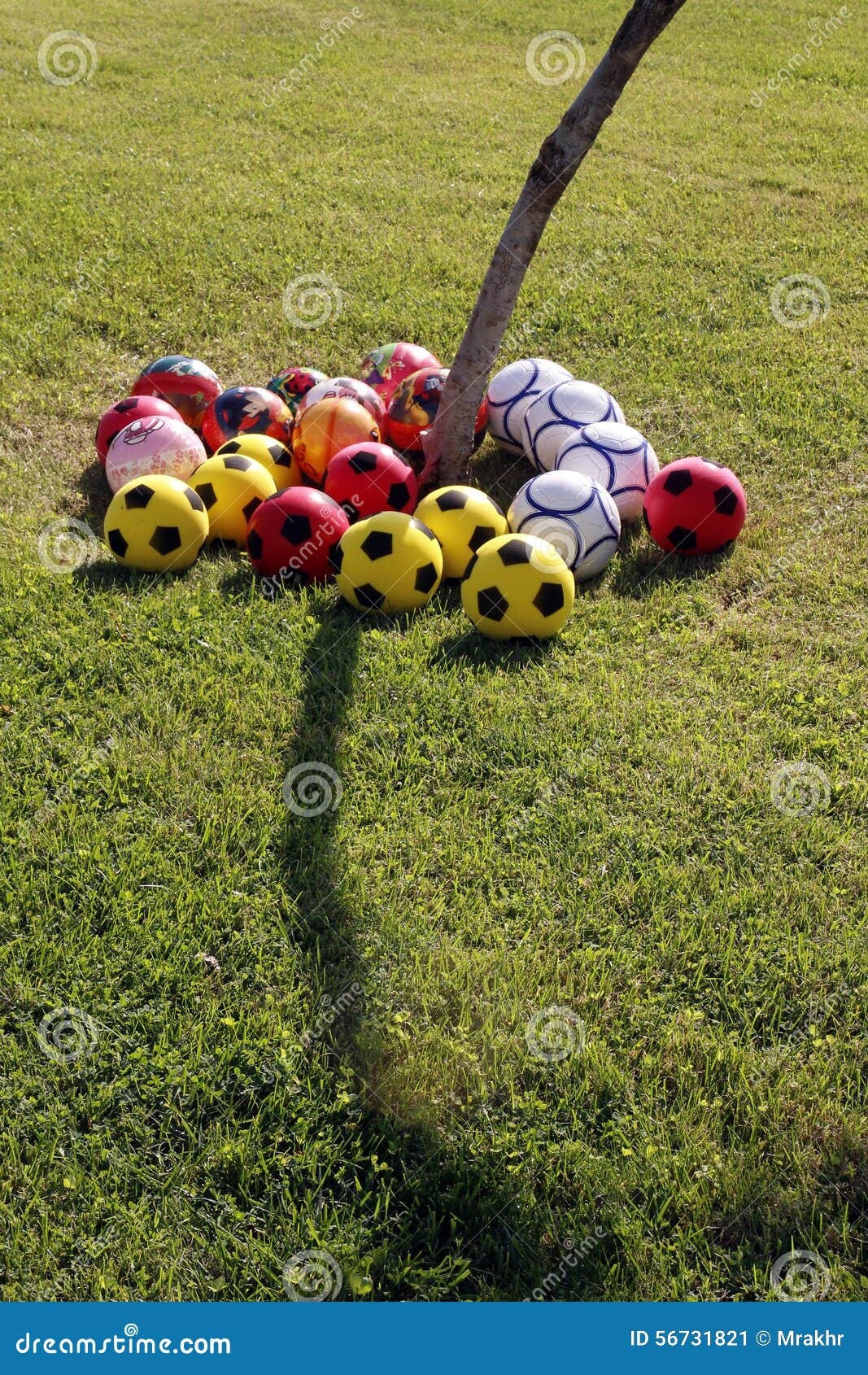 Colorful balls stock image. Image of detail, grass, exercising - 56731821
