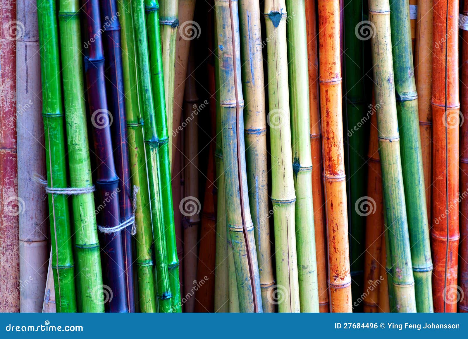 Colorful bamboo stock photo. Image of china, colorful - 27684496