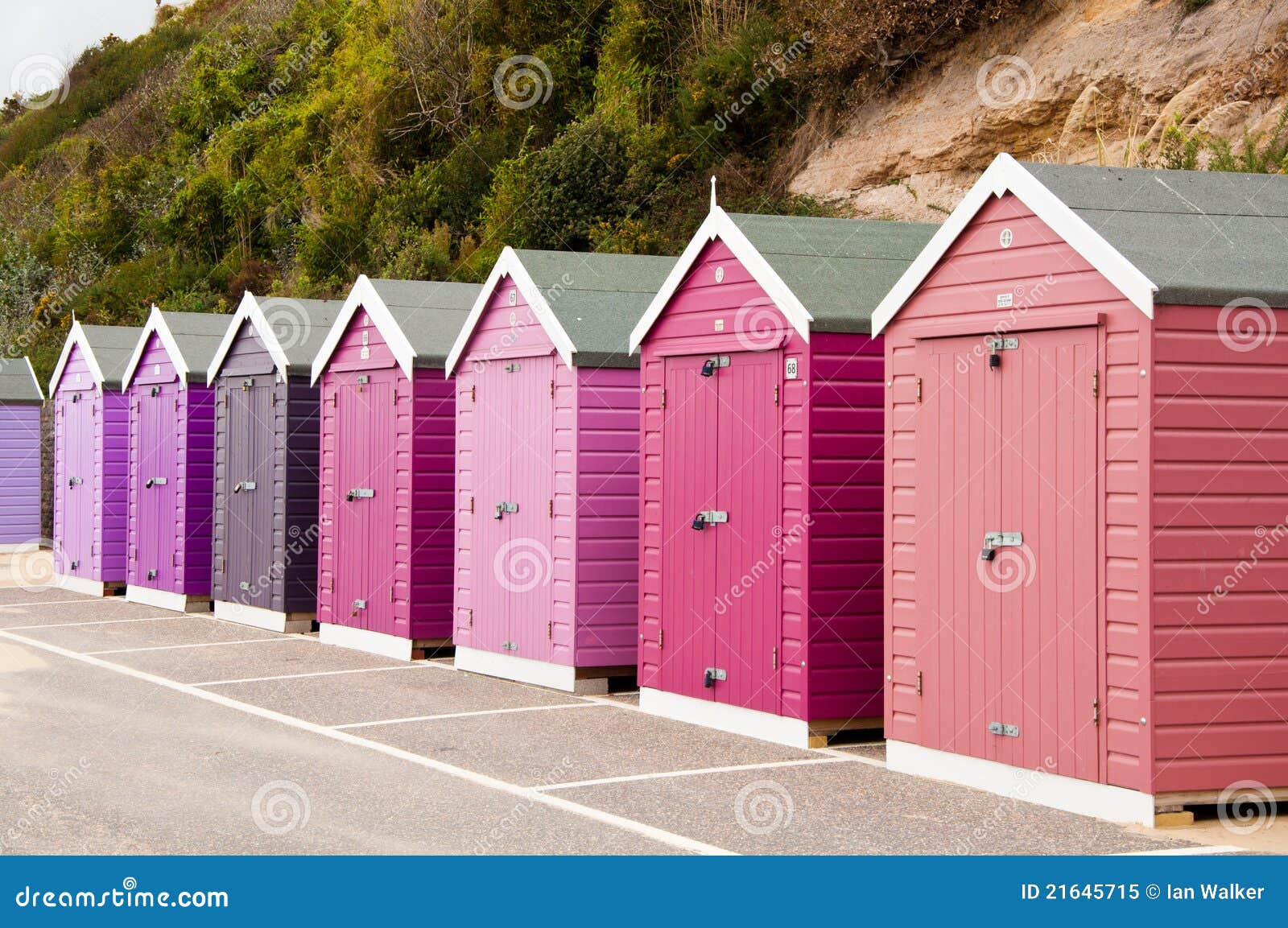 Colorful Beach Huts stock image. Image of color, purple - 21645715