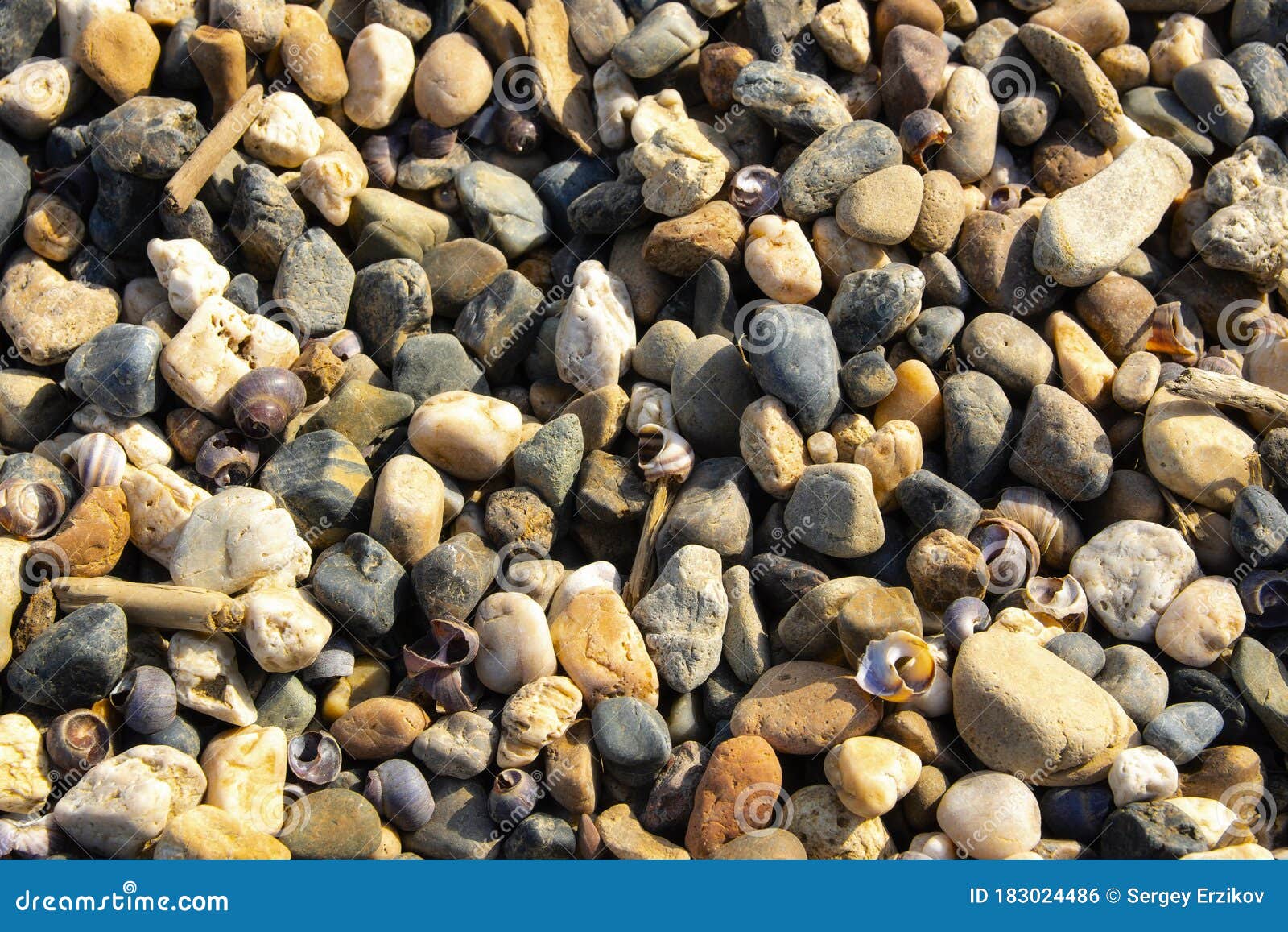 Colorful, Beach Rocks with Seashells Stock Photo - Image of pebble ...