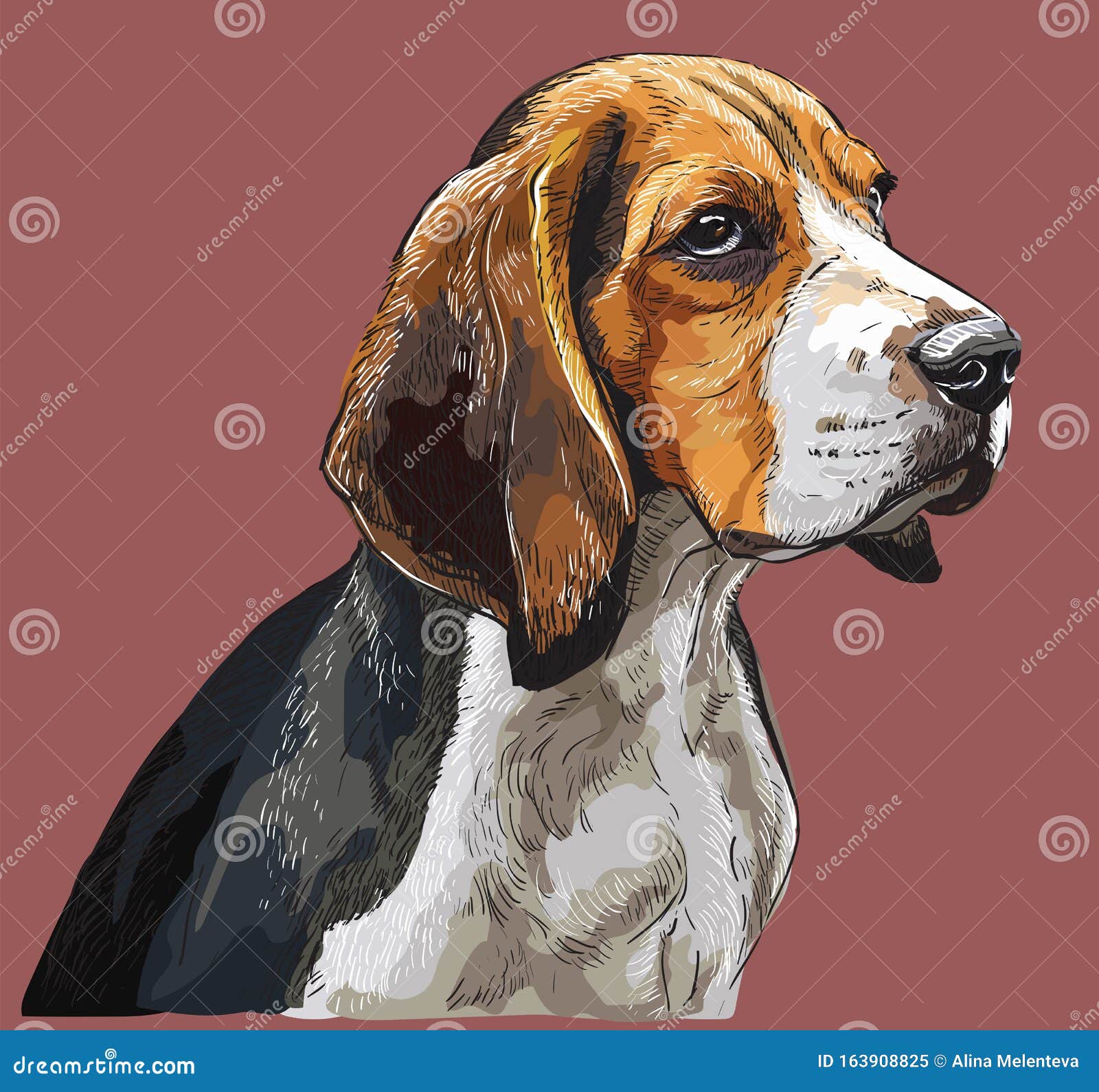Colorful Beagle Vector Hand Drawing Portrait Stock Vector ... Colorful Beagle Vector Hand Drawing Portrait Stock Vector ...