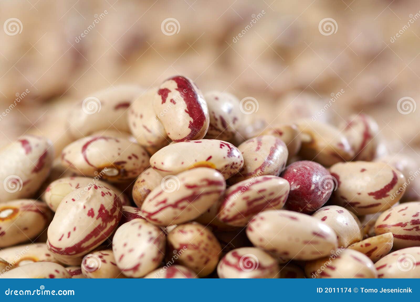Colorful beans stock photo. Image of color, close, colorful - 2011174