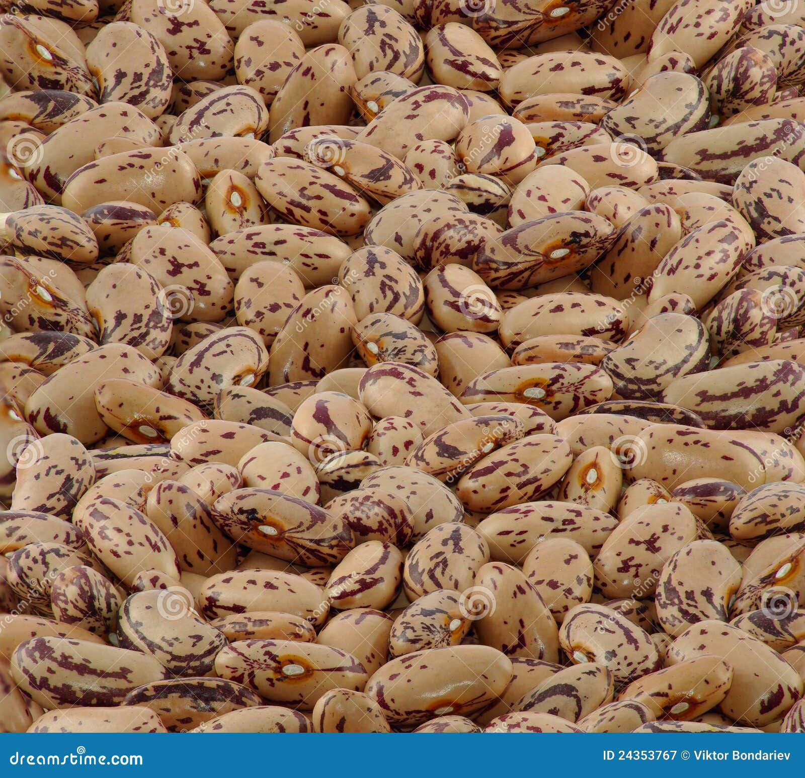 Colorful beans stock image. Image of color, food, meal - 24353767