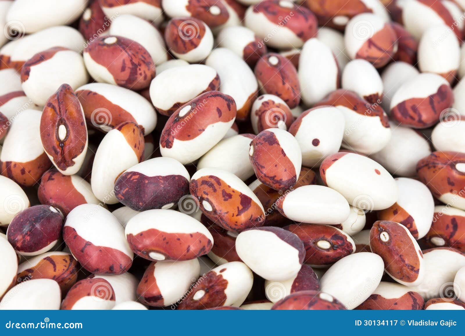 Beans stock image. Image of dinner, brown, cook, detail - 30134117