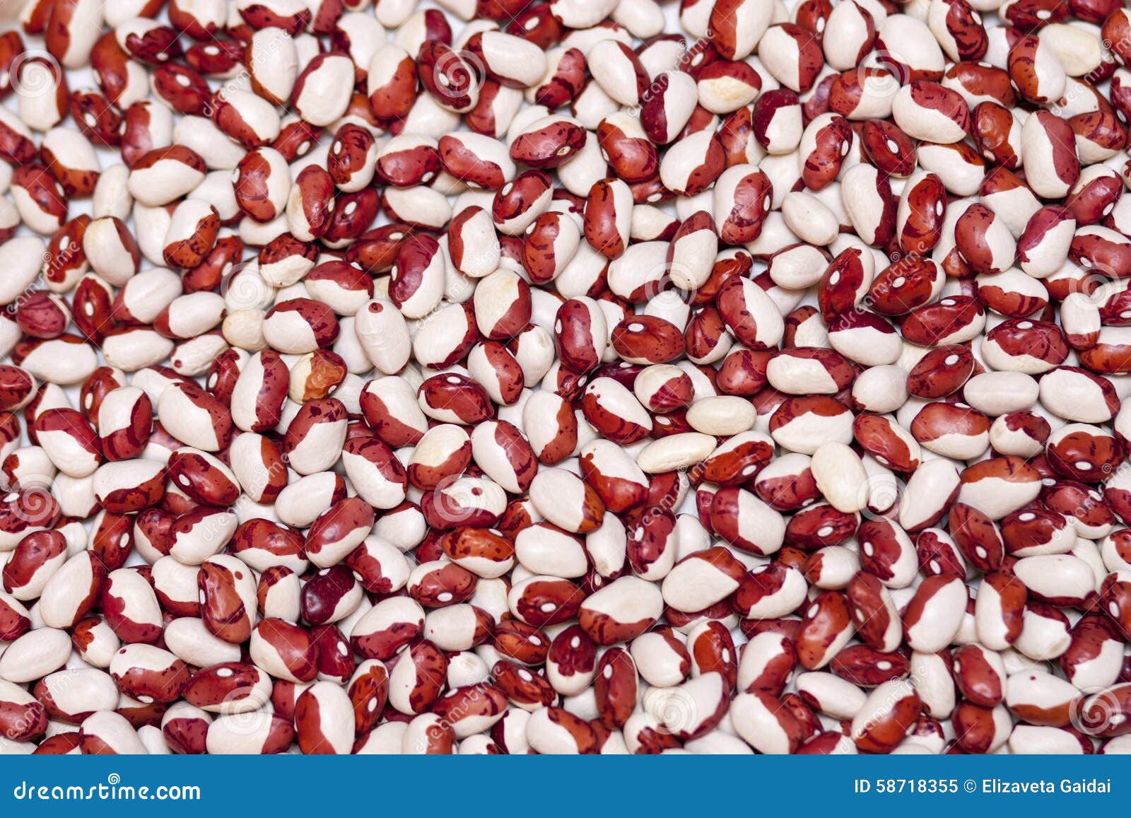 Colorful beans stock image. Image of oval, striped, gardening - 58718355